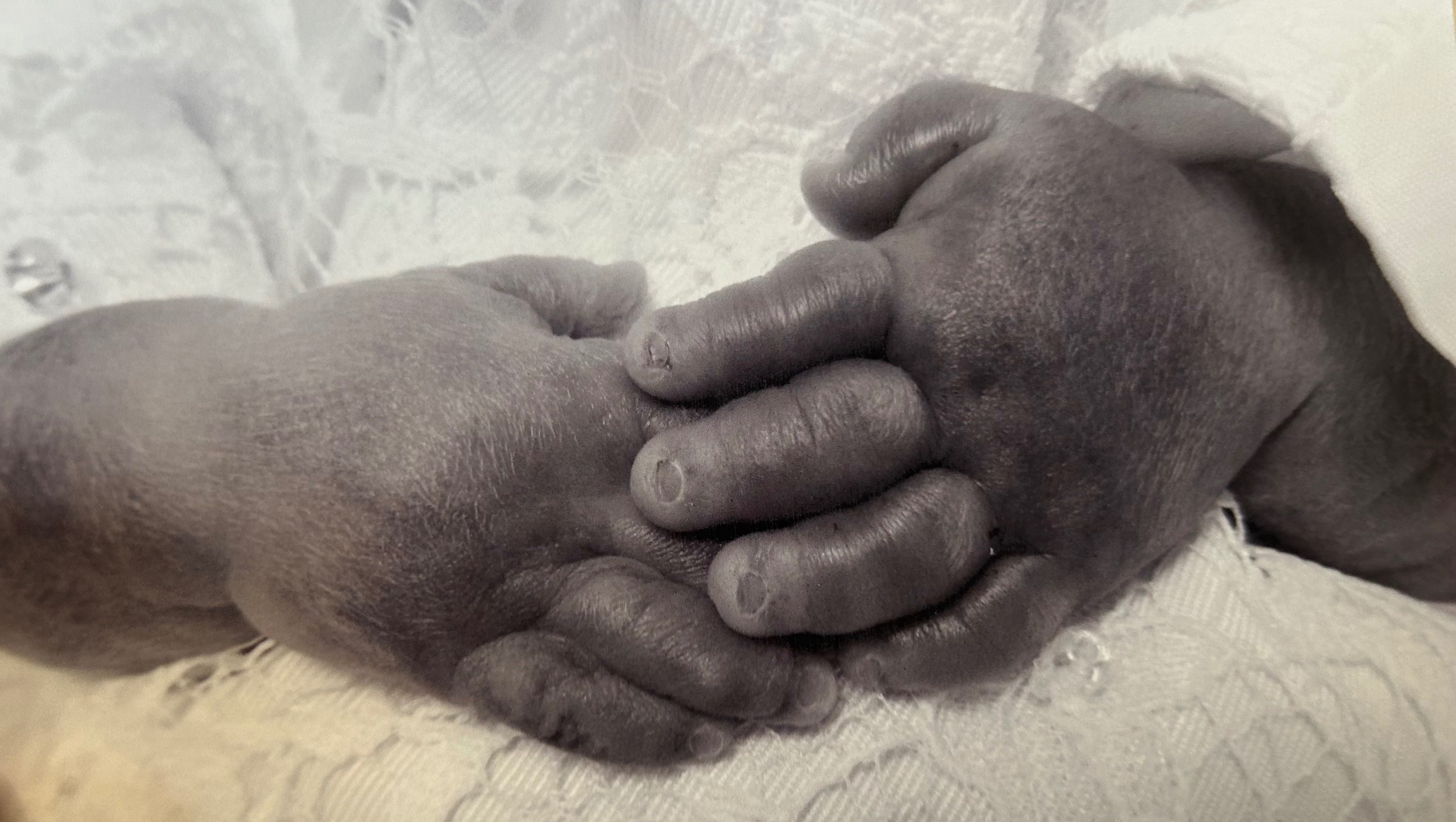 Fundraiser for Cassidy Ecker by Bethany Gradwell : In memory of Poppy ...