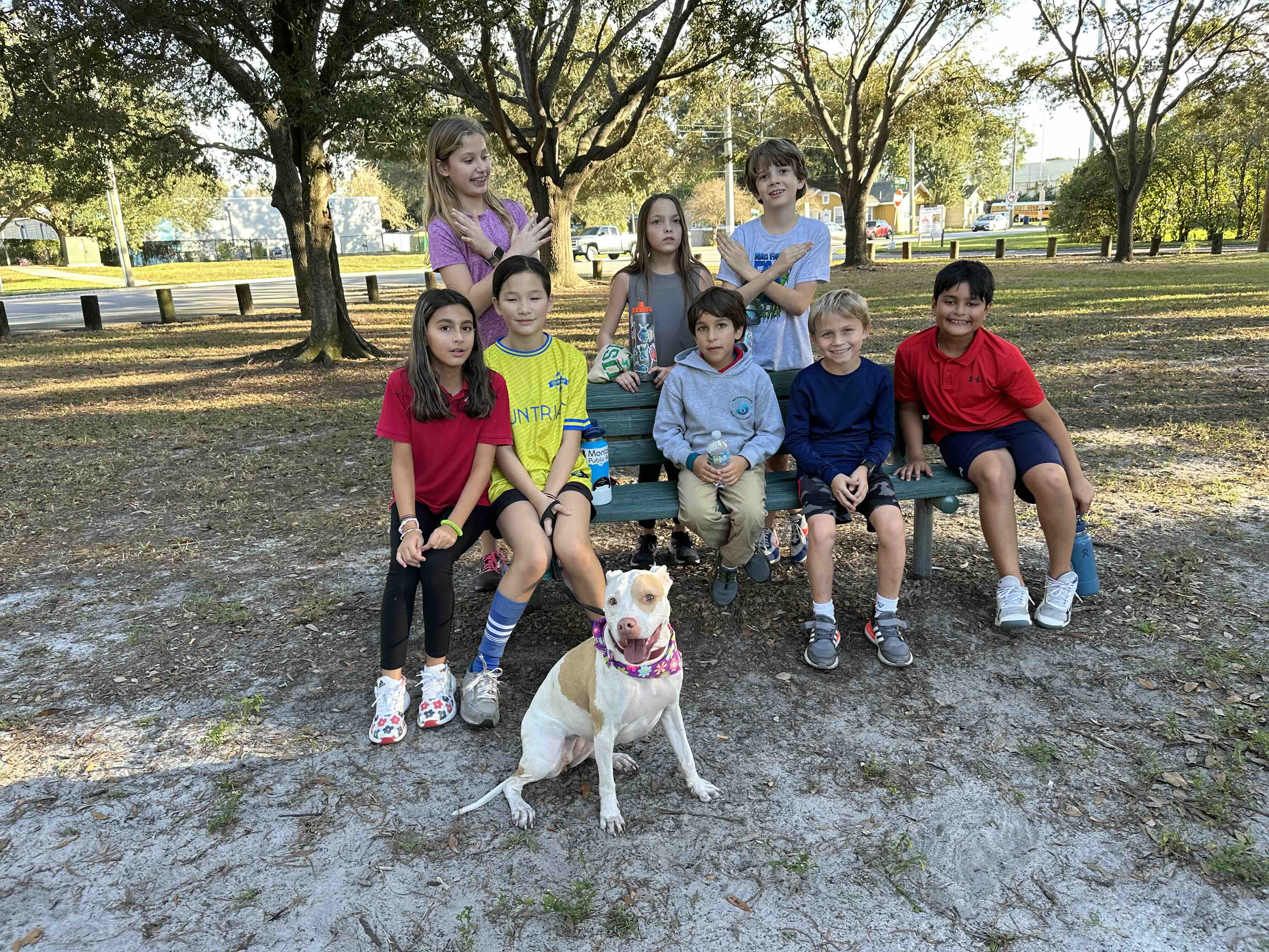 Fundraiser by Wanda Vinson : Help Patches Beat Cancer & Keep Bringing ...