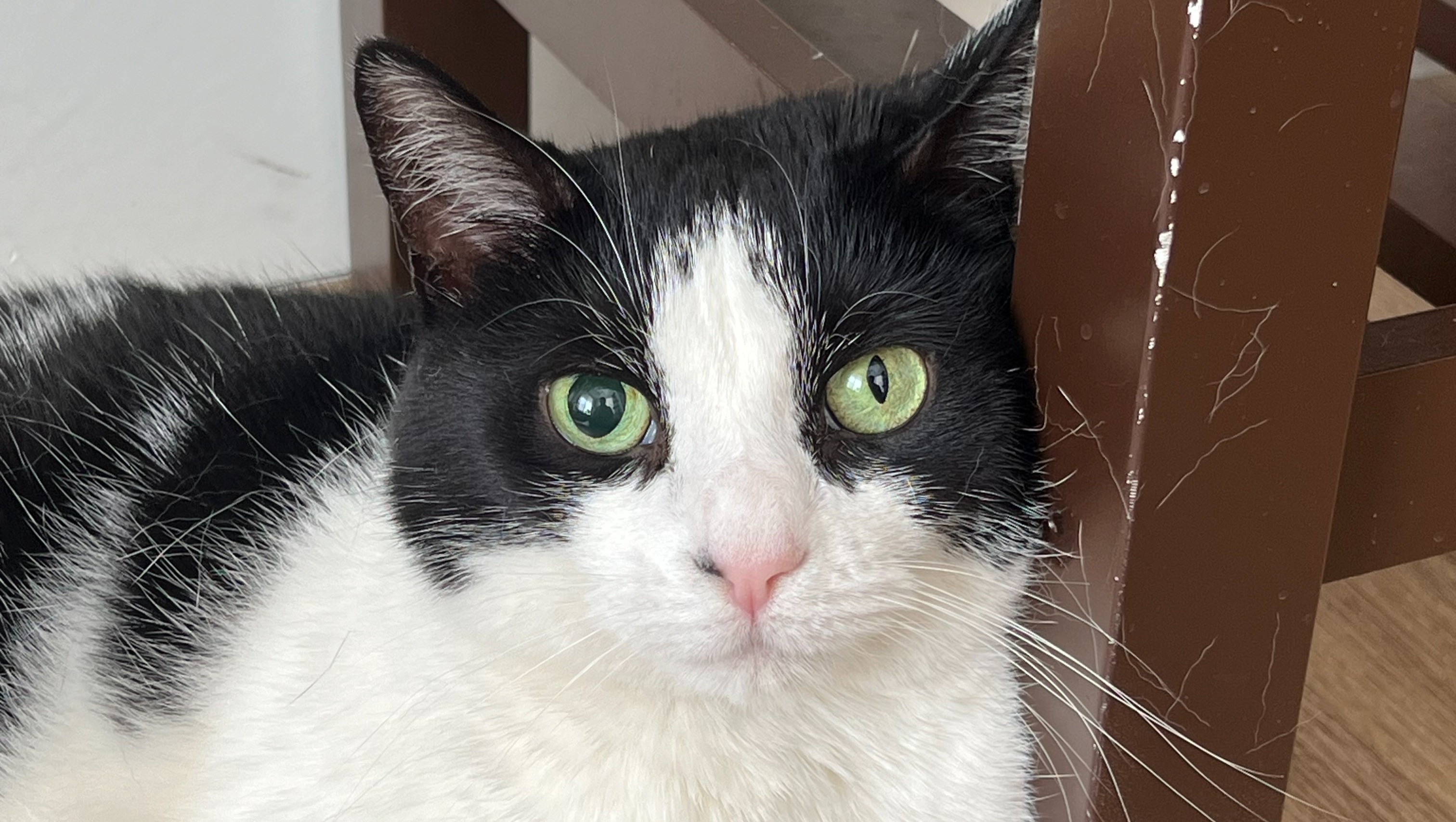 Fundraiser by Paul Molke : Join Edan's Fight Against Neurological Issue