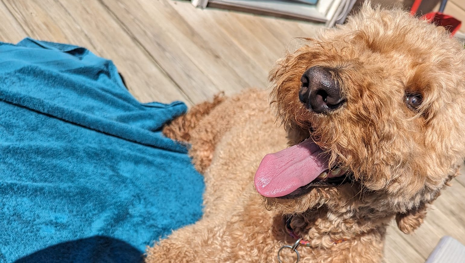 Fundraiser by Erin Harrell : Join Darcy's Tribe in overcoming ...