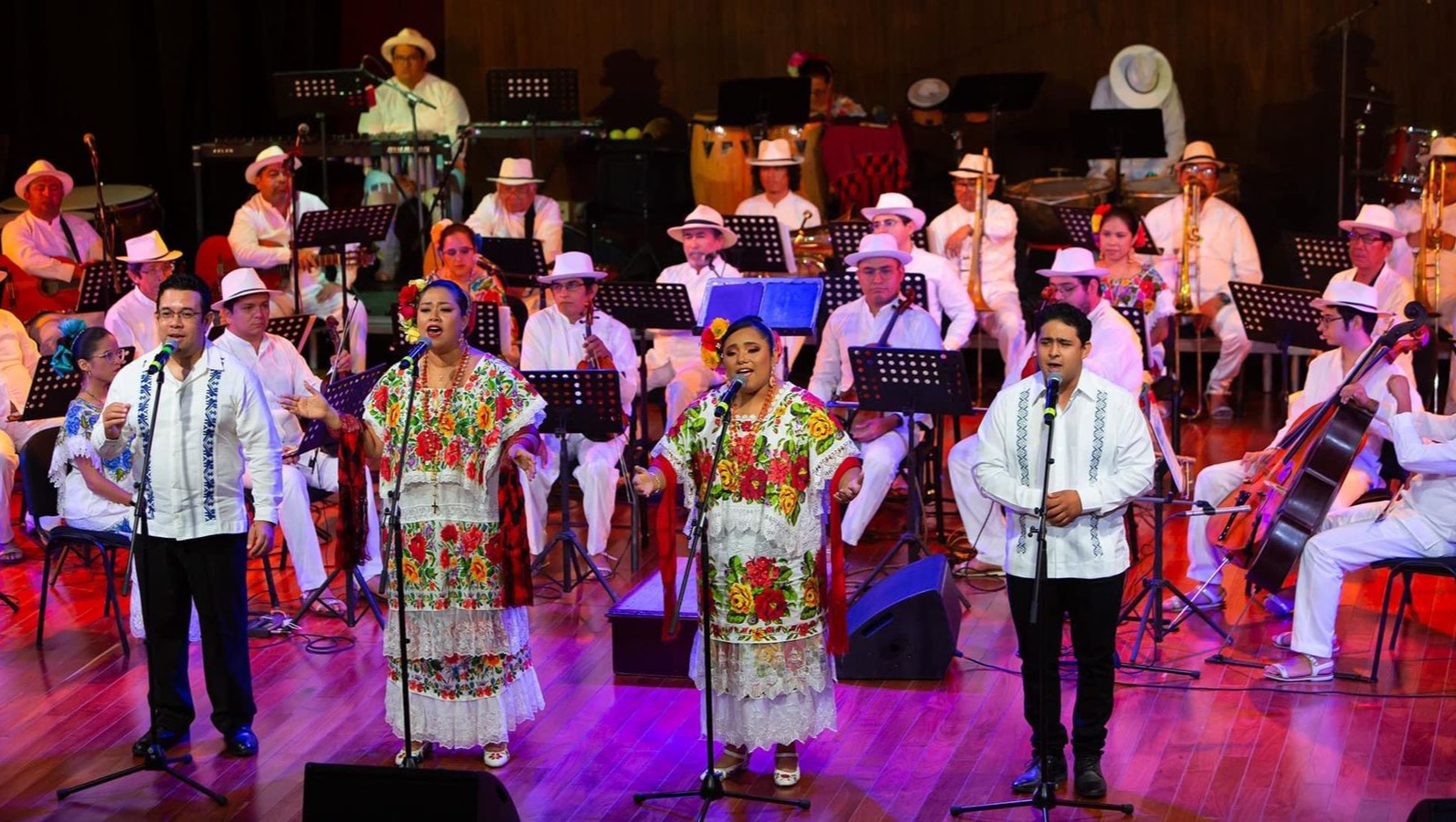 Fundraiser by Daniel Bojorquez : Troveros : Un canto desde México hasta ...