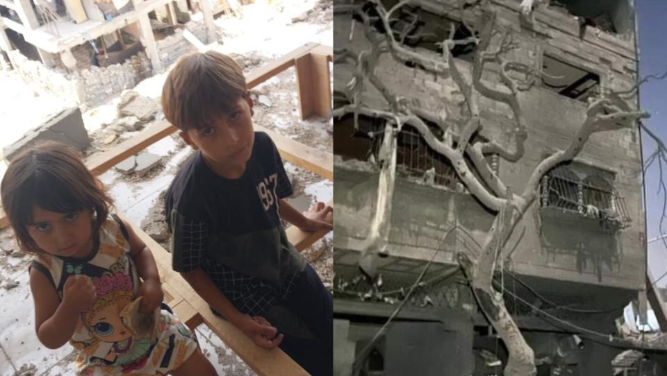 Fundraiser by Amanda Beecher : Help Malaka's Family Escape War-Torn Gaza