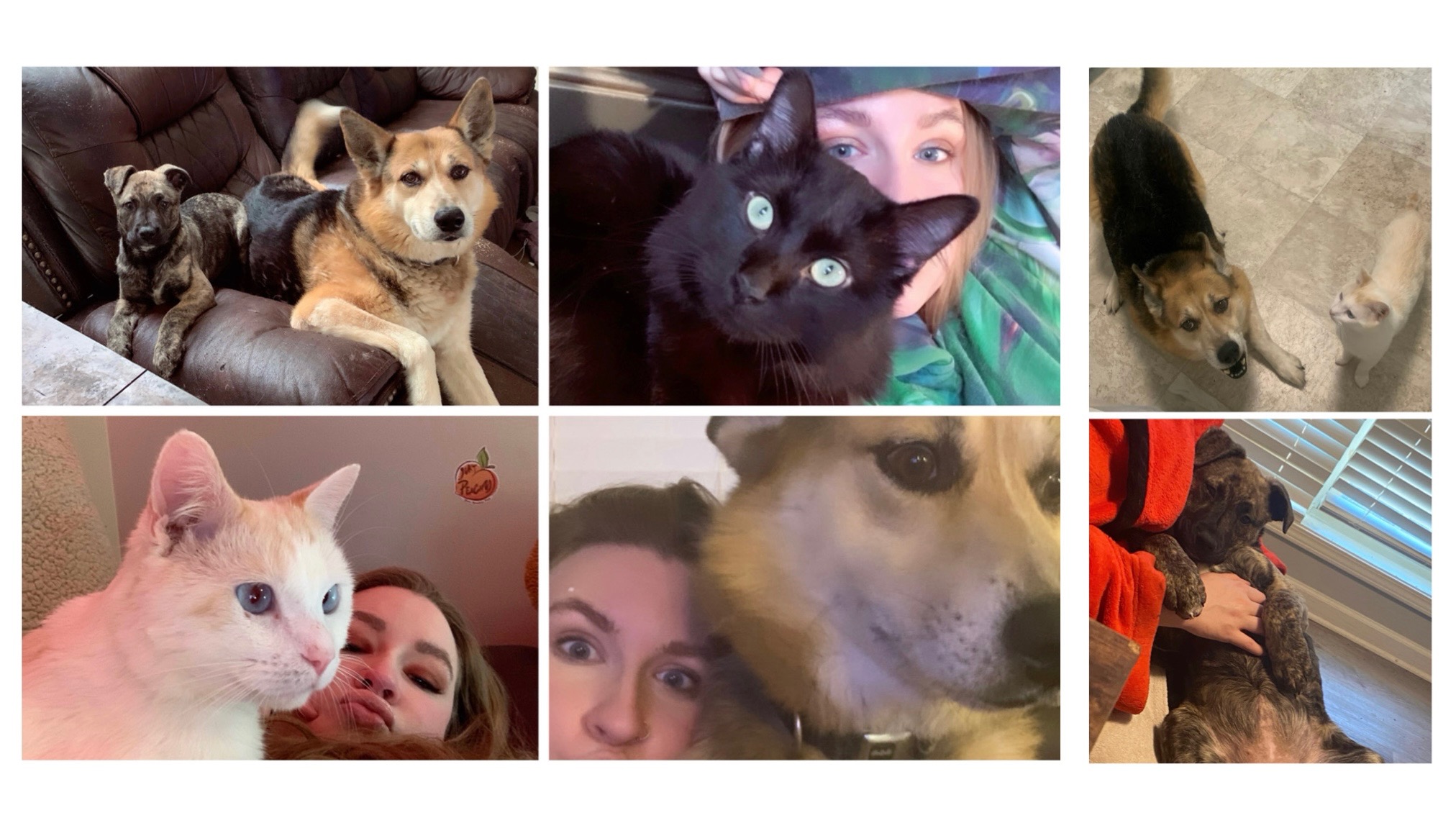 Fundraiser by Haylie Blade : Help Haylie Keep Her Beloved Pets