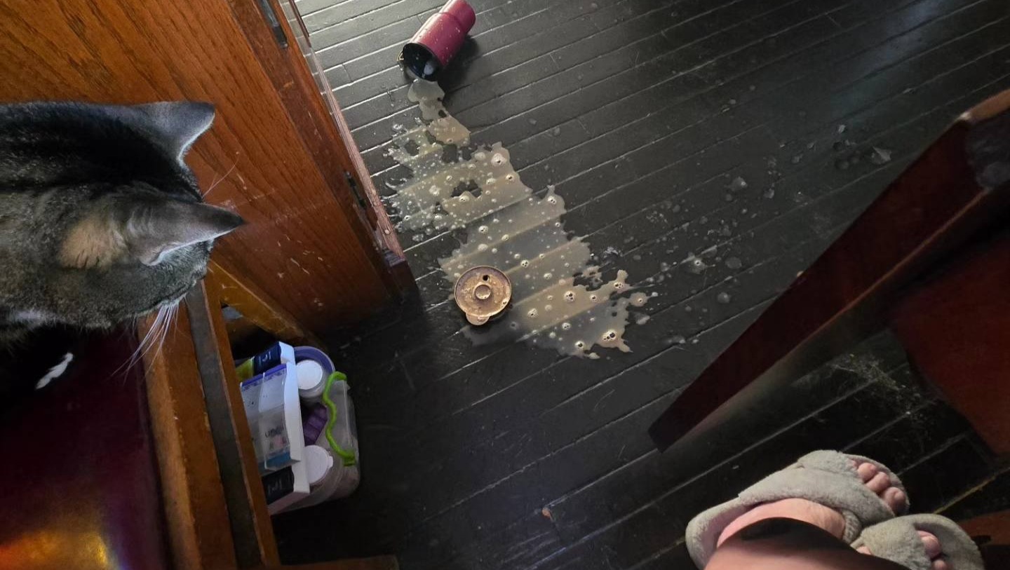 Fundraiser by Janice Rael : Janice and Gloria Rael Destruction Forever