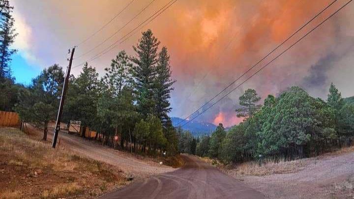 Fundraiser by Maria Gonzalez : Help Hector Rebuild After Ruidoso Fire