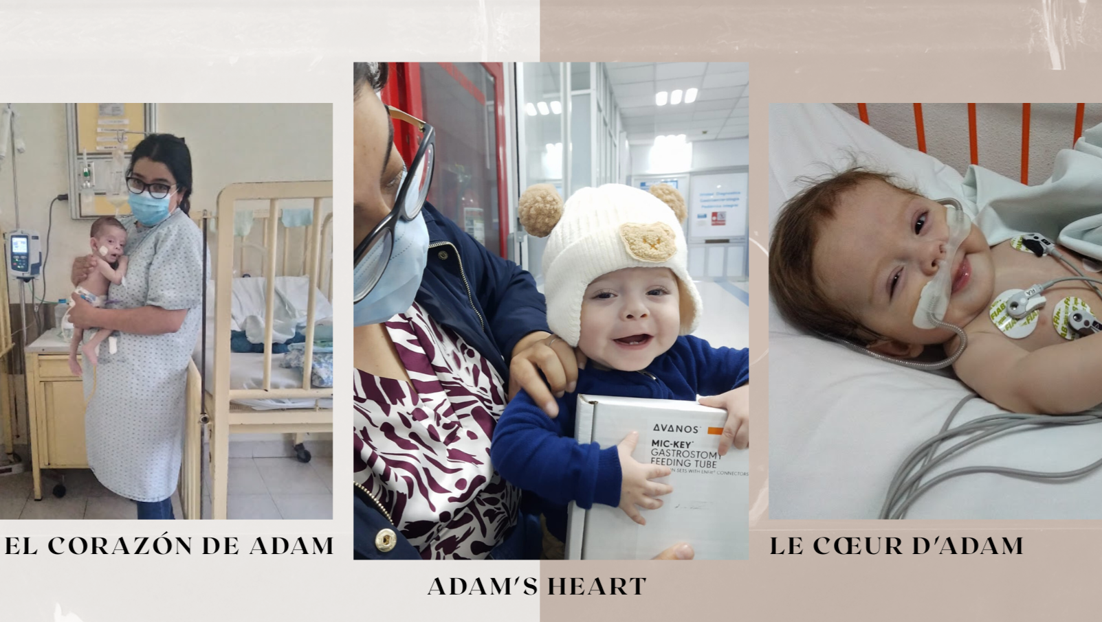 Fundraiser by ELIZABETH APARICIO DIAZ : Adam's Heart