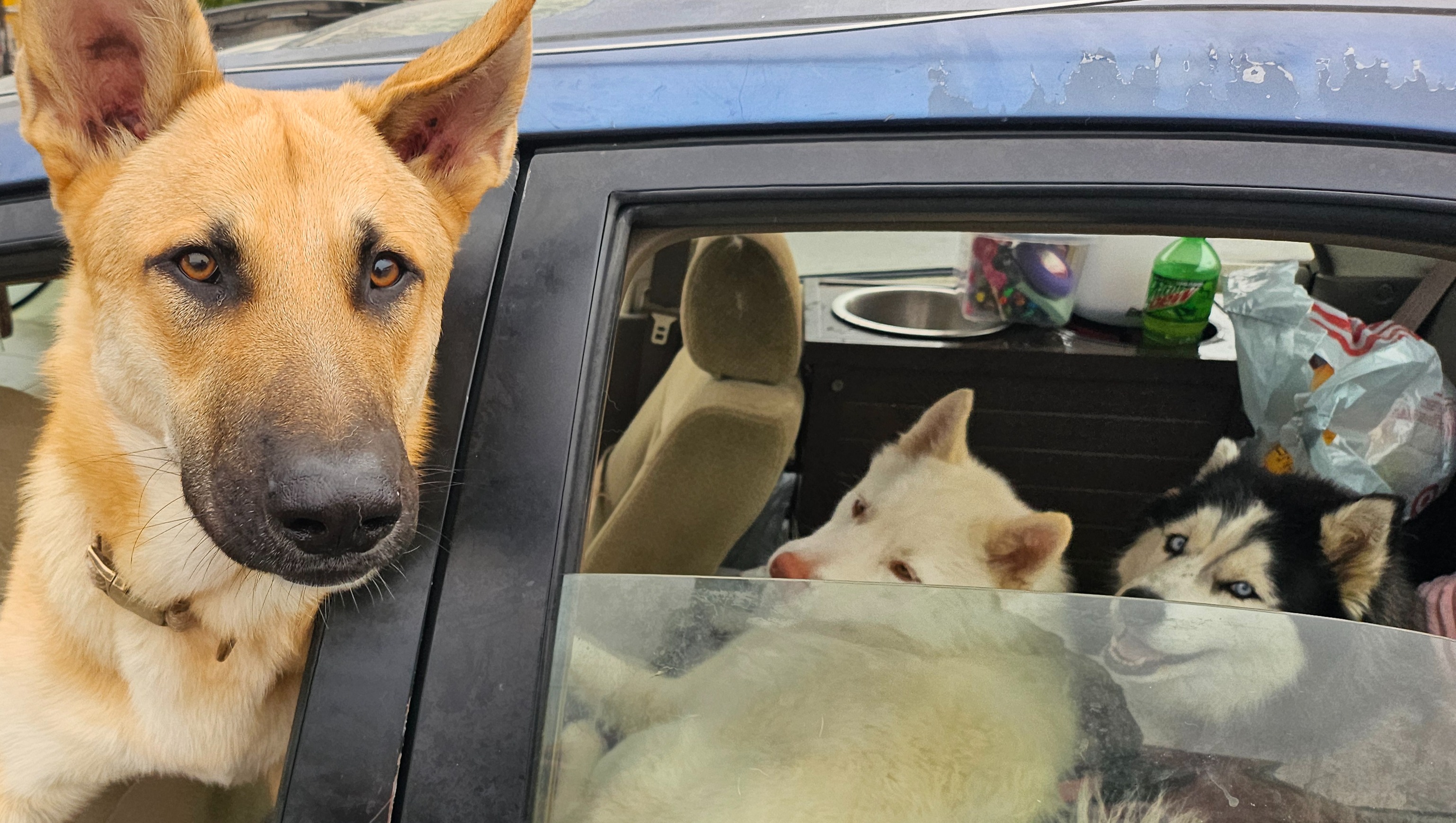 Fundraiser by Susan Linville : Help Secure a Safe Vehicle for Lupus Fighter