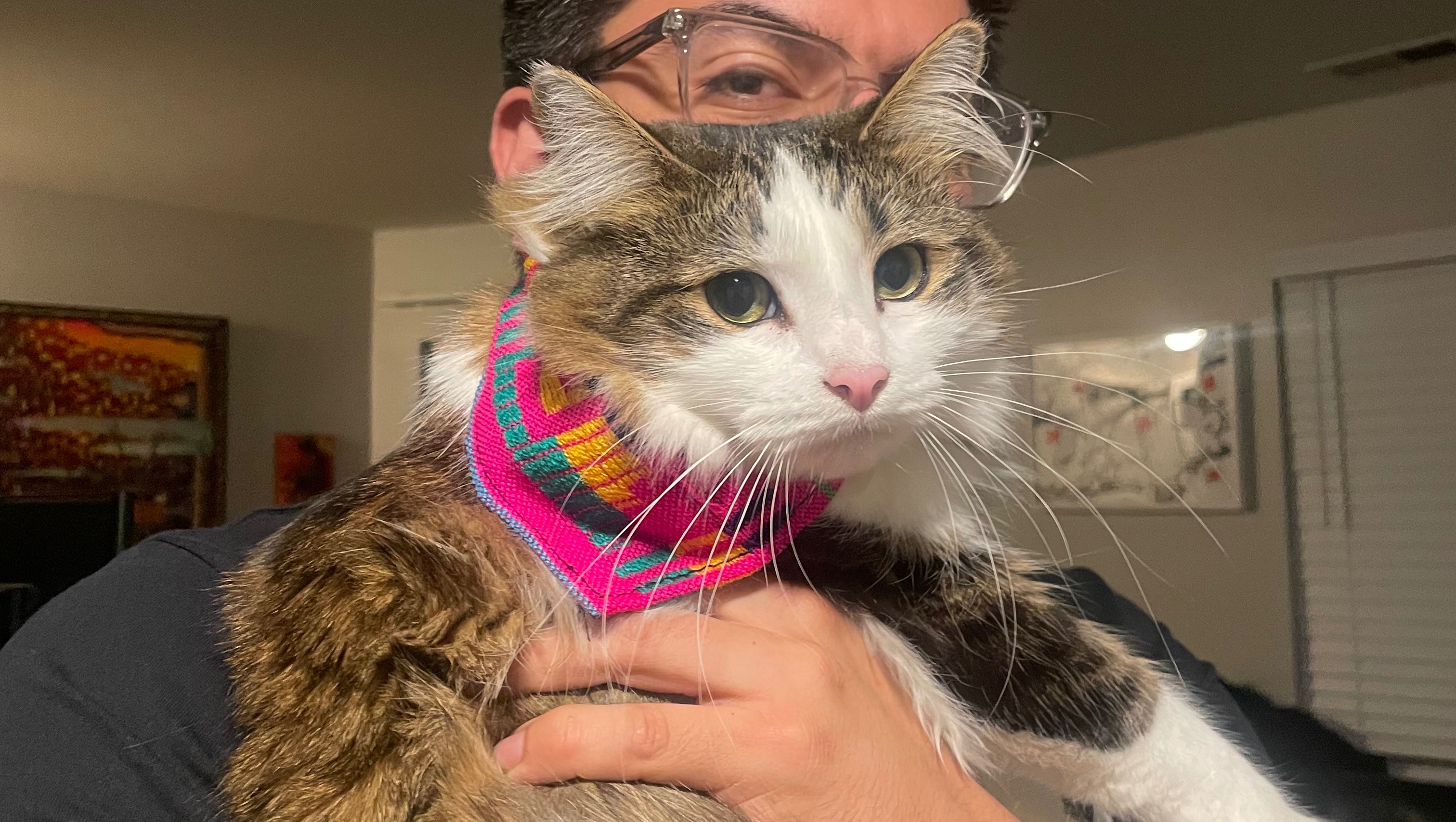 Fundraiser by Jesus Verdin : Support Omi’s Medical Emergency ️