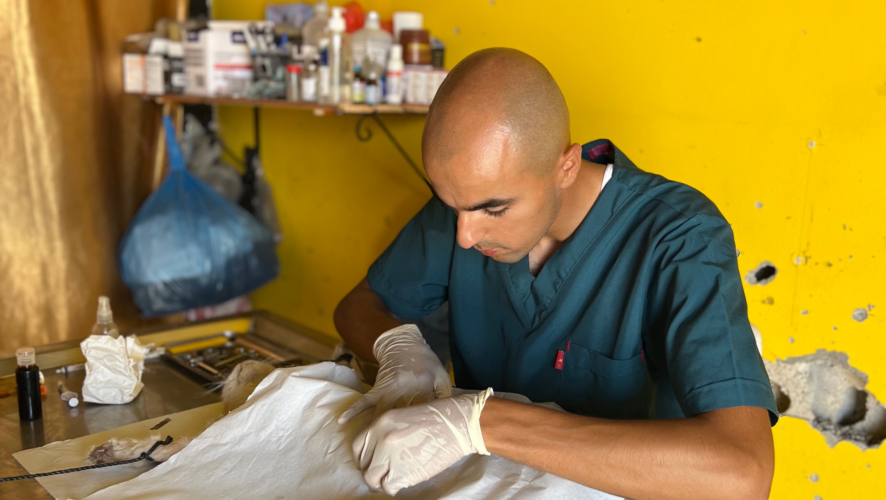 Fundraiser for almaza hijji by Dr Abdallah Murtaja : Support Dr ...