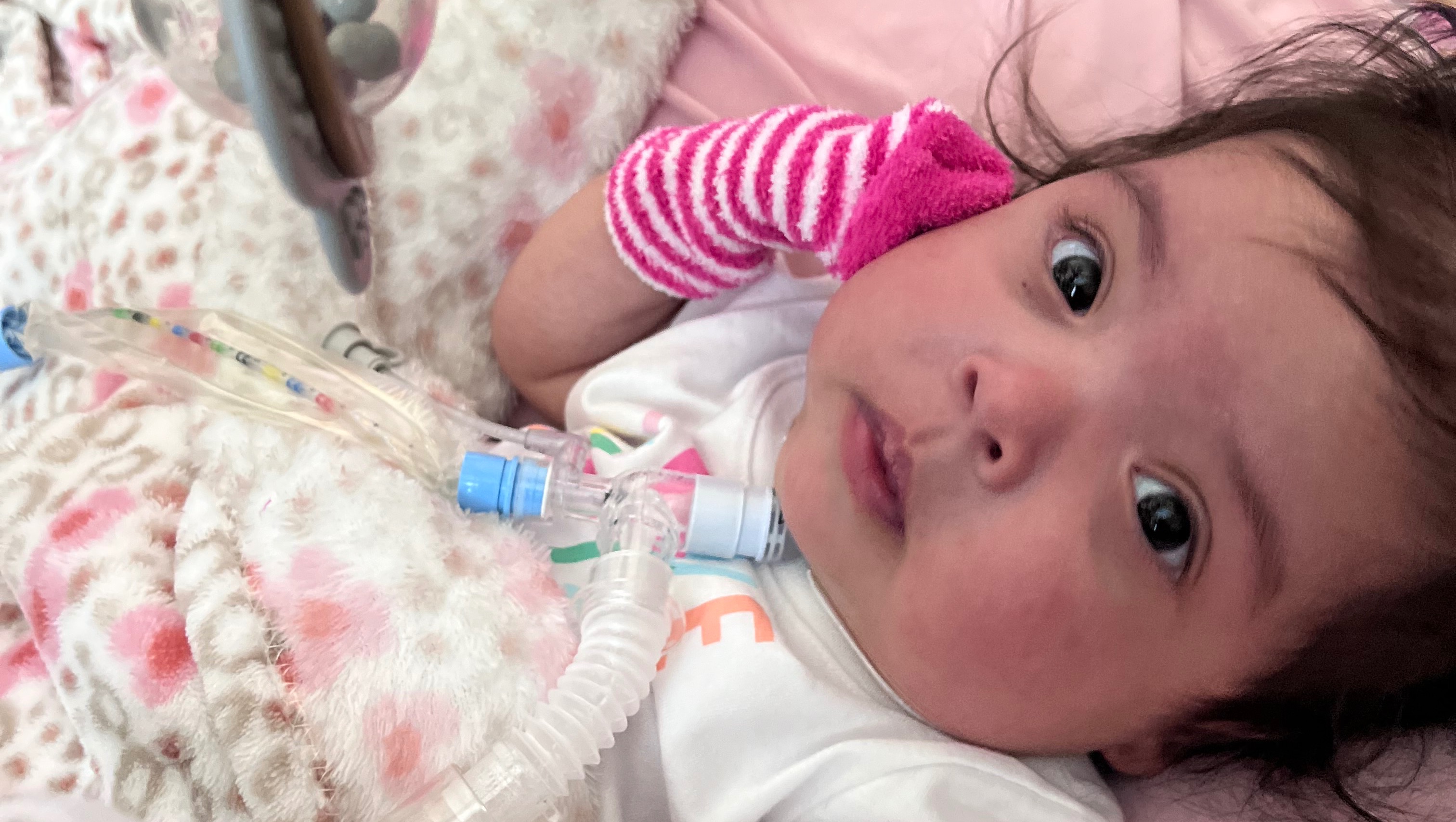 Fundraiser by Miriam Lopez : Support Hailey's Journey Home from NICU