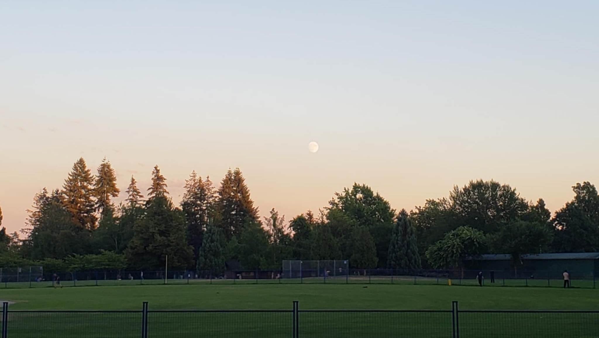 Fundraiser by Rebecca Trisevic : Help Luke (theBug404)