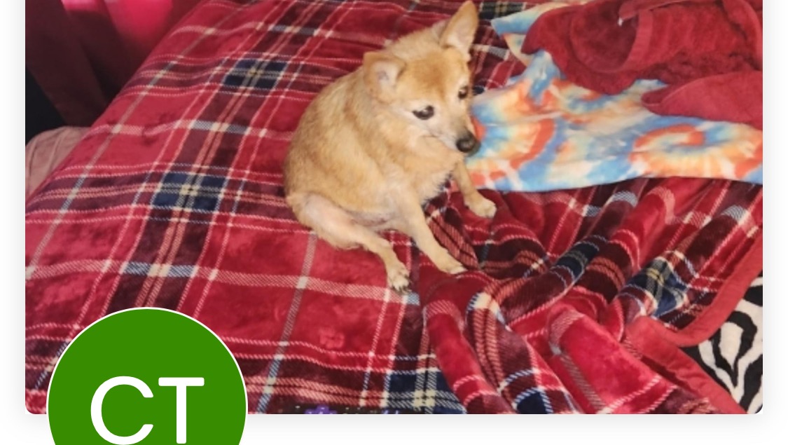 Fundraiser for Travis Thompson by Nancy Barton : Help Coleen Honor Her ...