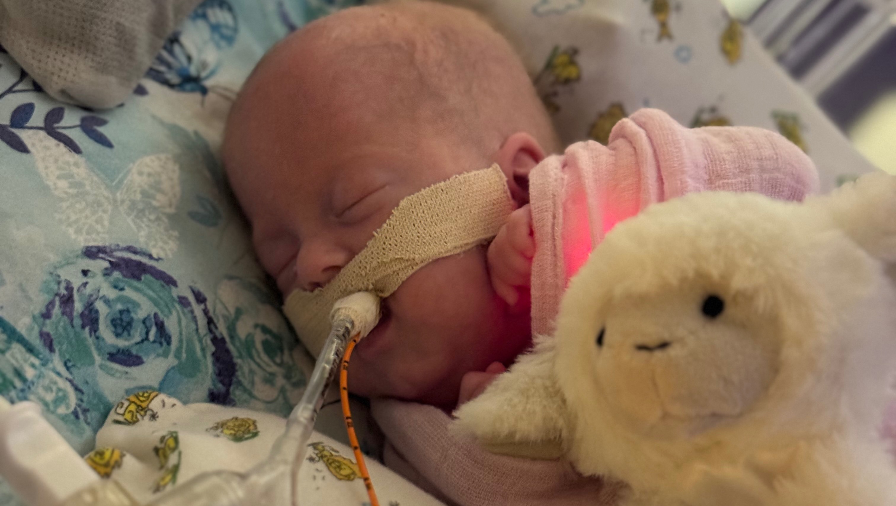 Fundraiser by TYLER BAUMAN : Emersyn's NICU Journey and Recovery