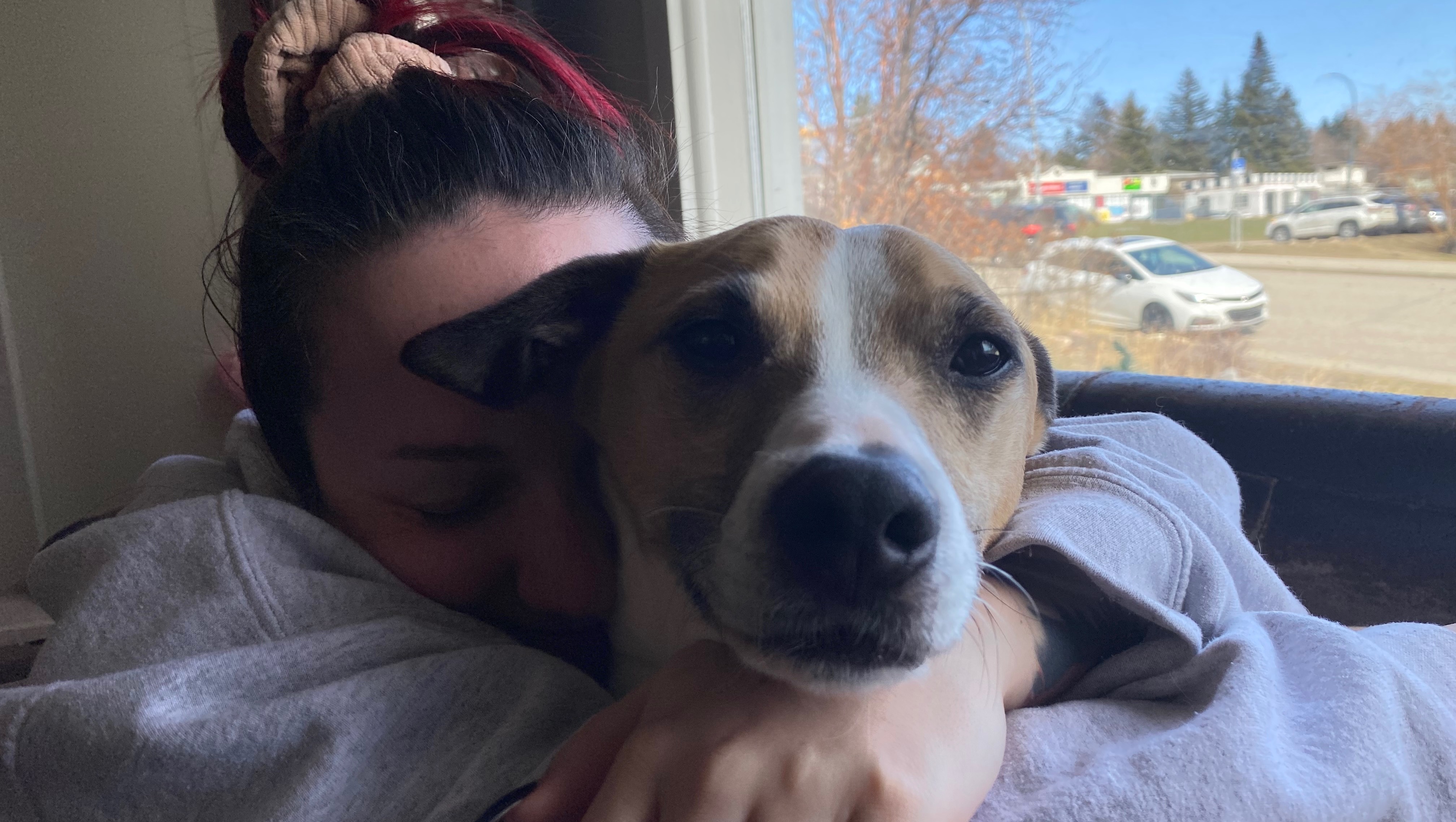 Fundraiser by Sarah Soroka : Shorty’s Medical Bills