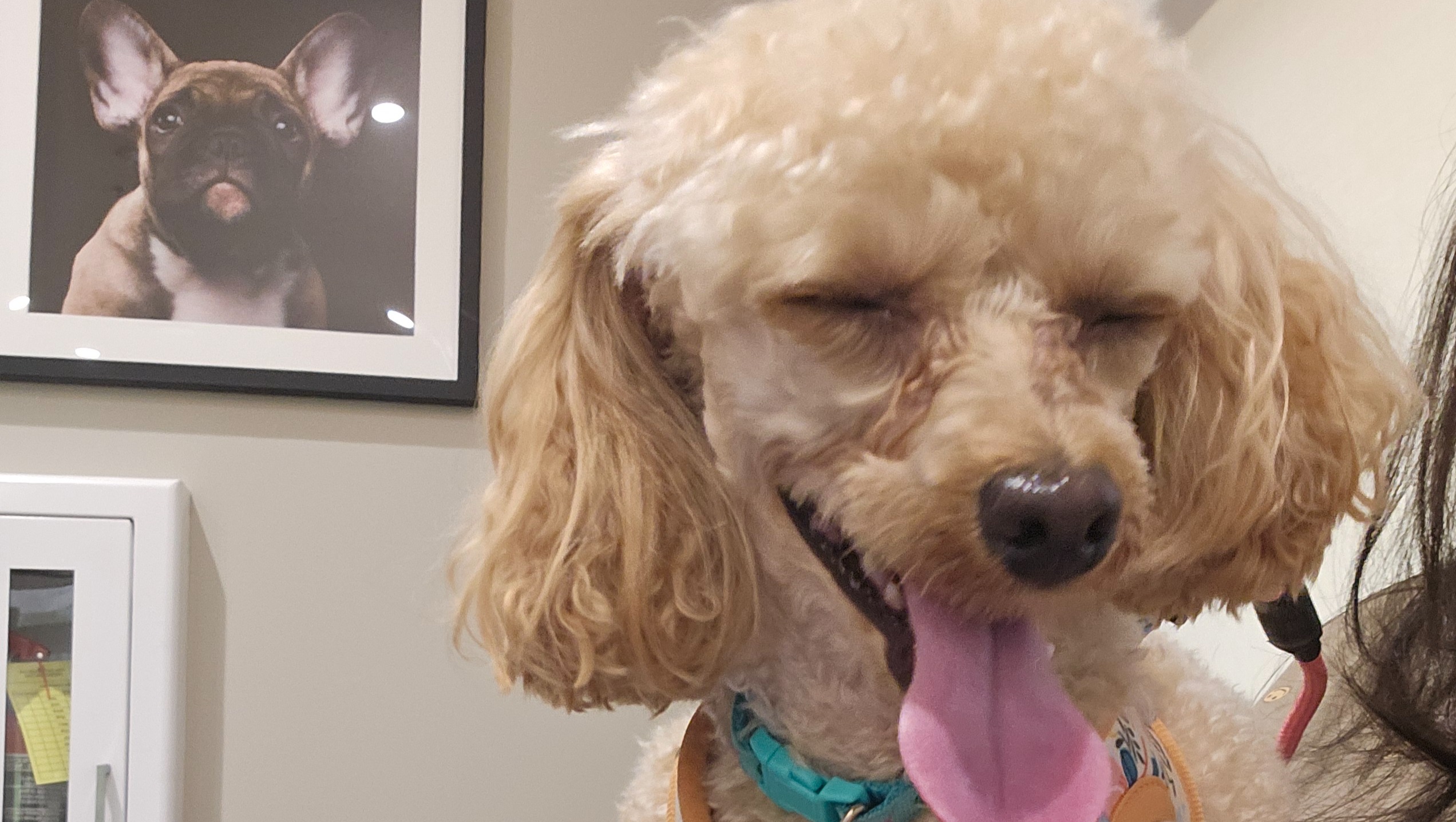 Fundraiser by Jessica Ramos : Help Restore Lady's Sight with Cryoepilation