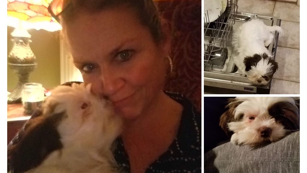 Fundraiser for Denise Davis by Leona Wenzel : Support for Tibbs' Jaw ...