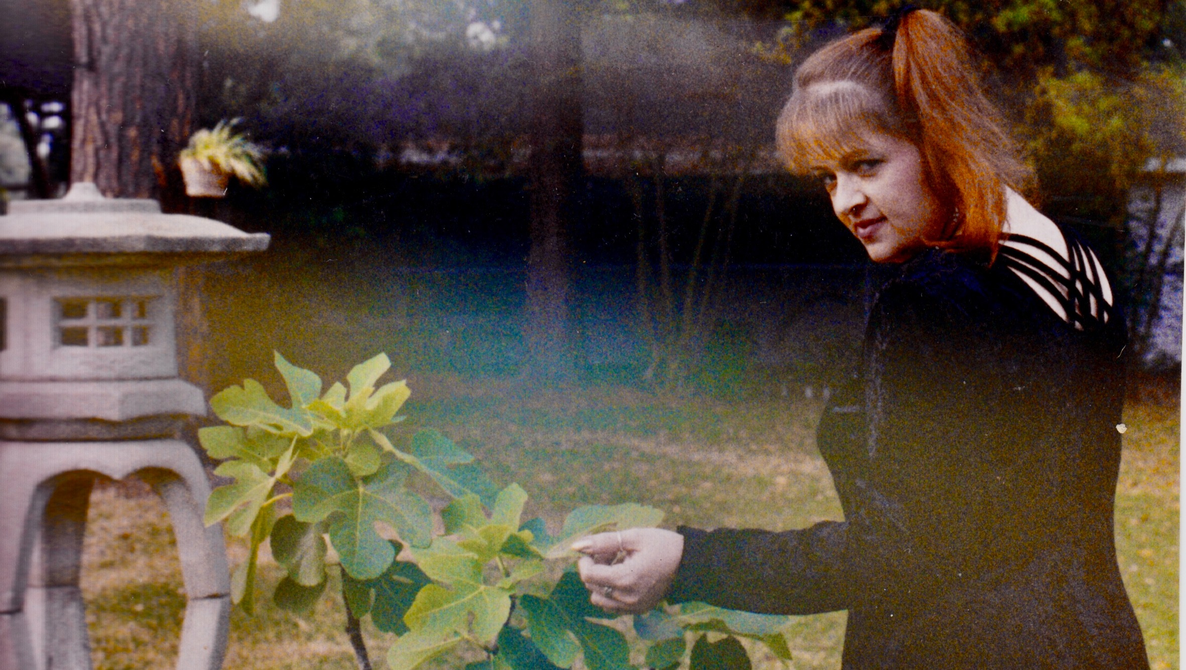 Fundraiser by Judy Aiello : Support for Brenda Dolan's Final Journey