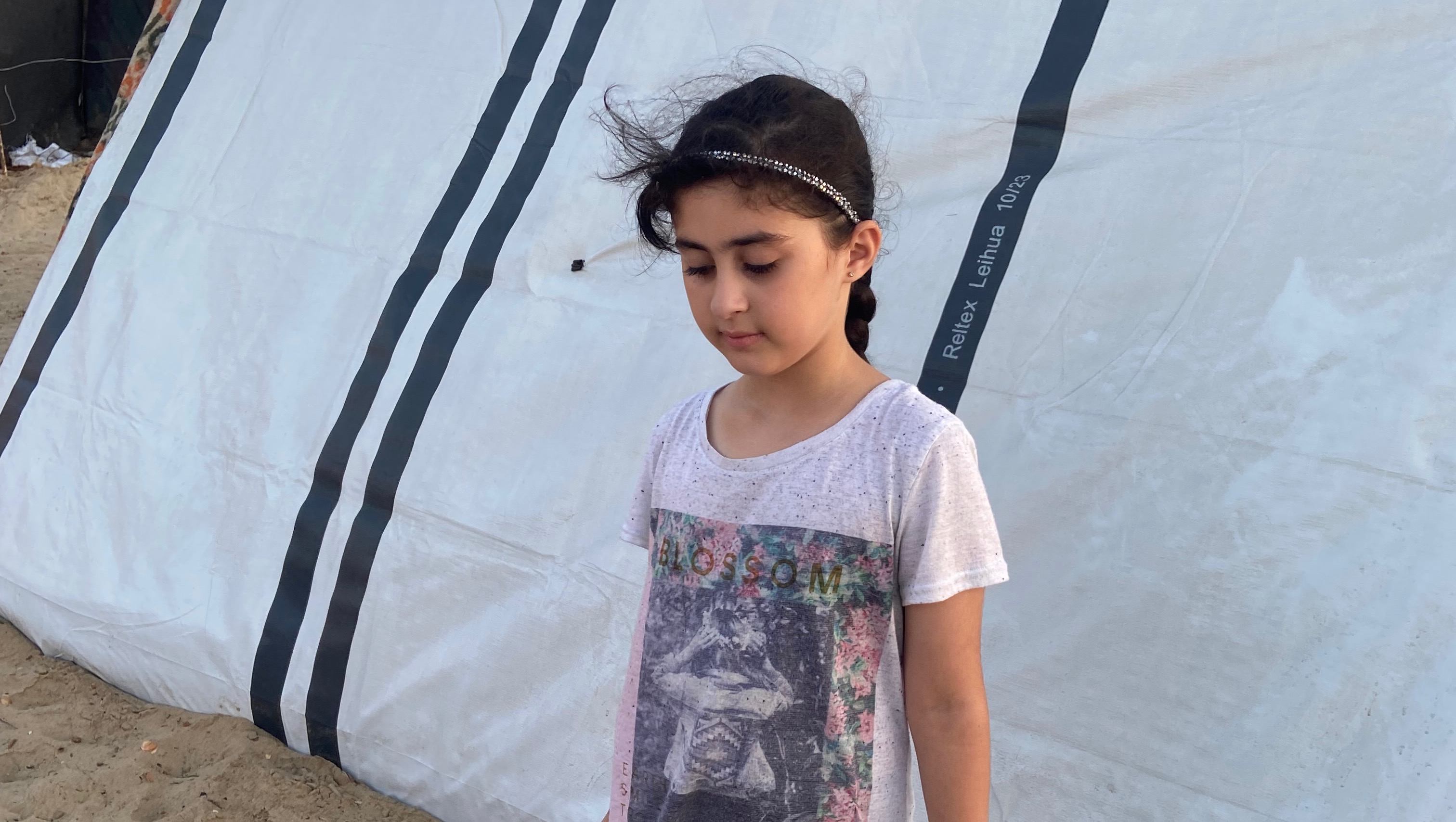 Fundraiser by Toleen Alaa : Help Toto and her Family Evacuate the ...