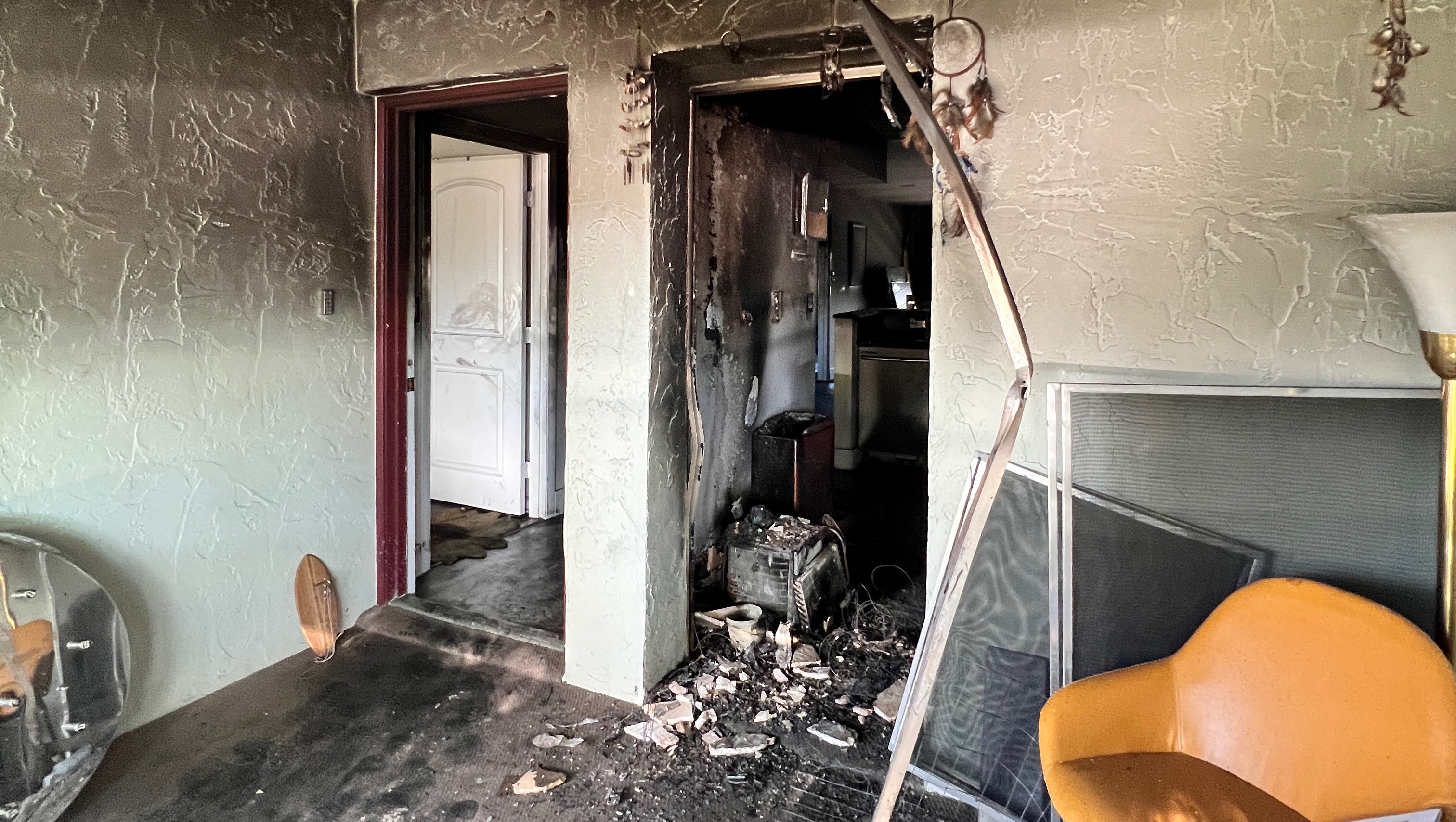 Fundraiser by April Lewis-Bolowich : Support Starla's Recovery from ...