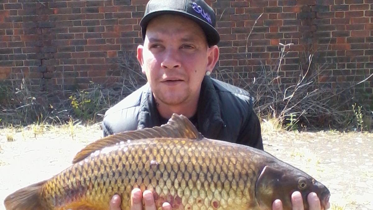 Fundraiser by Maxine Hamilton : My son luke bridle