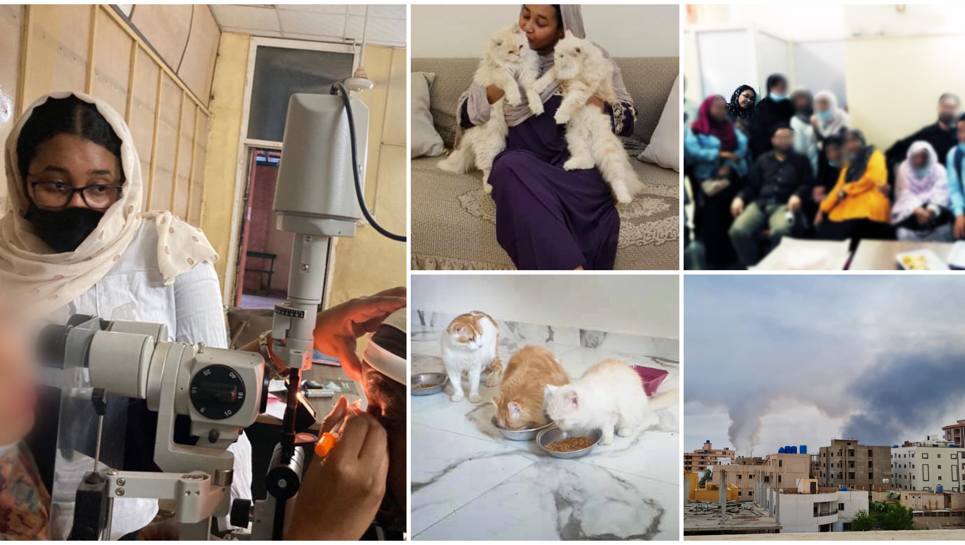 Fundraiser by Mustafa Abbas : Help Nour Rebuild Her Life and Career