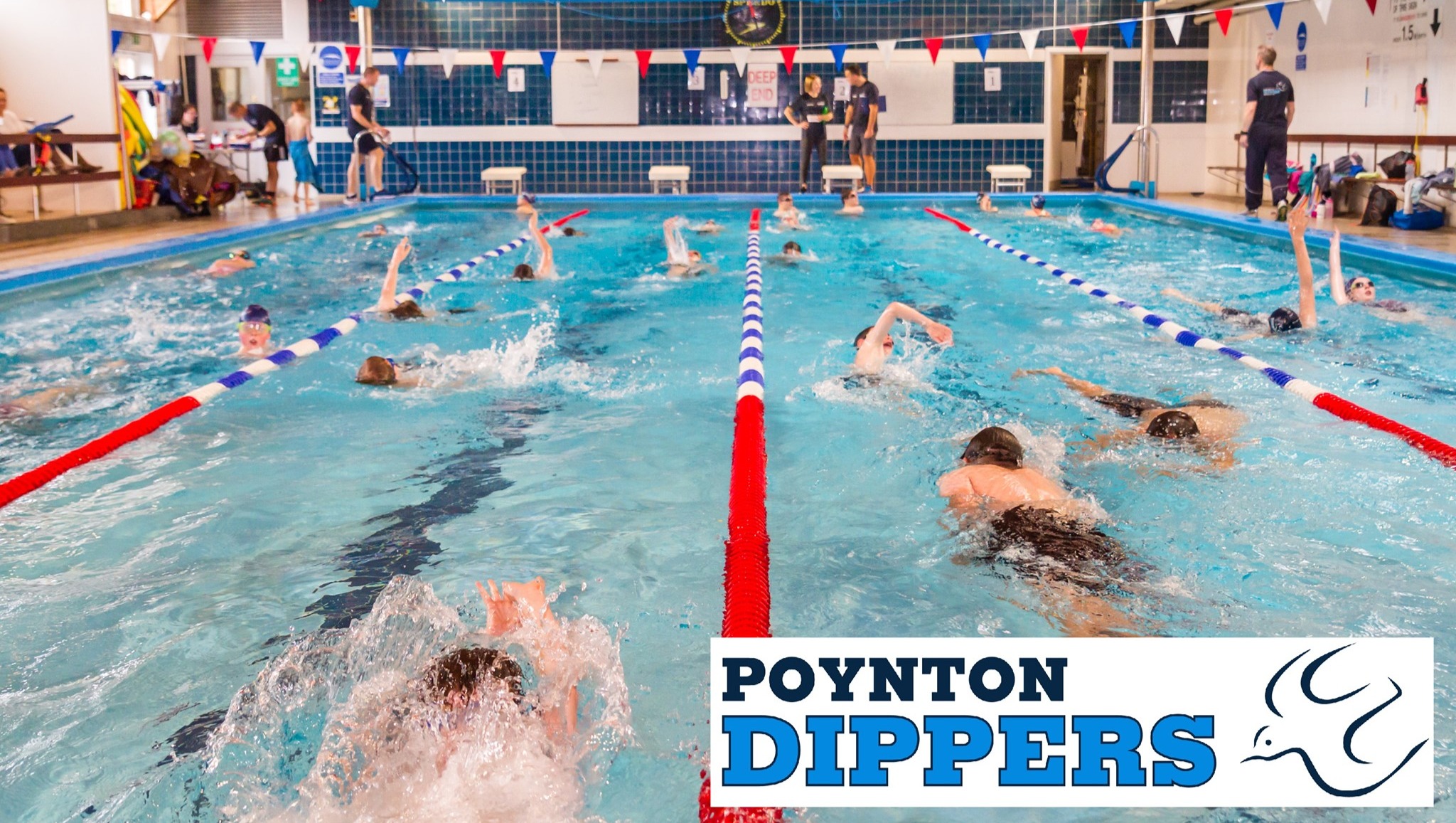 Fundraiser by ALAN BAMBER : Poynton Dippers charity swim for Ollie's army