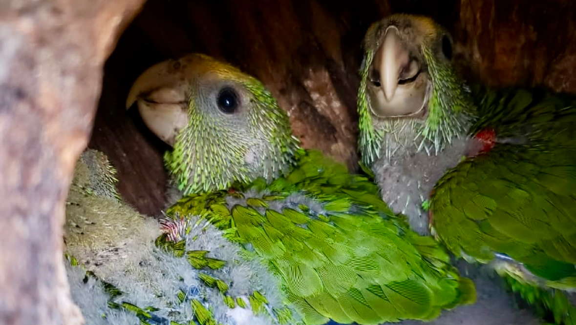 Fundraiser by Anne Rothrock : Support Dave's hike for Ranger safety ...