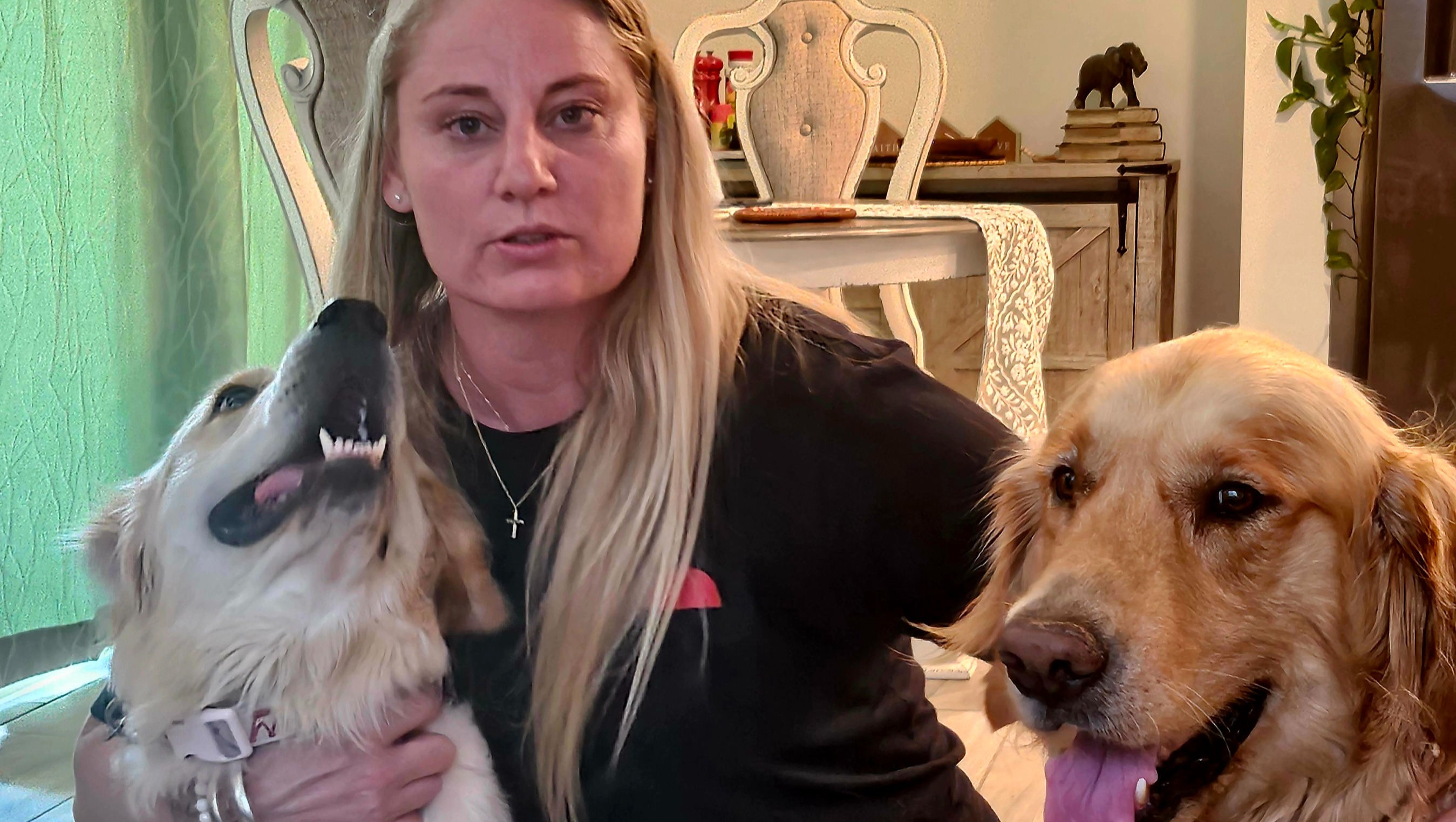 Fundraiser by Jolene O'Leary : Stand with Jolene in Her Legal Battle