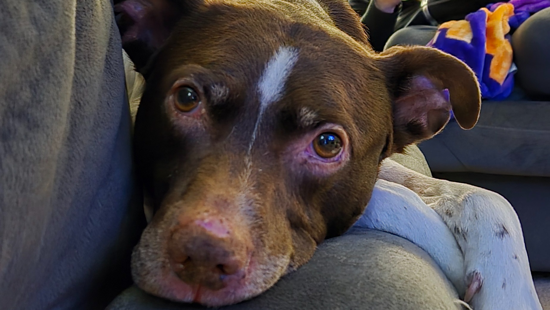 Fundraiser by Daniel Starnes : Help Russell Buddy in his Battle with ...