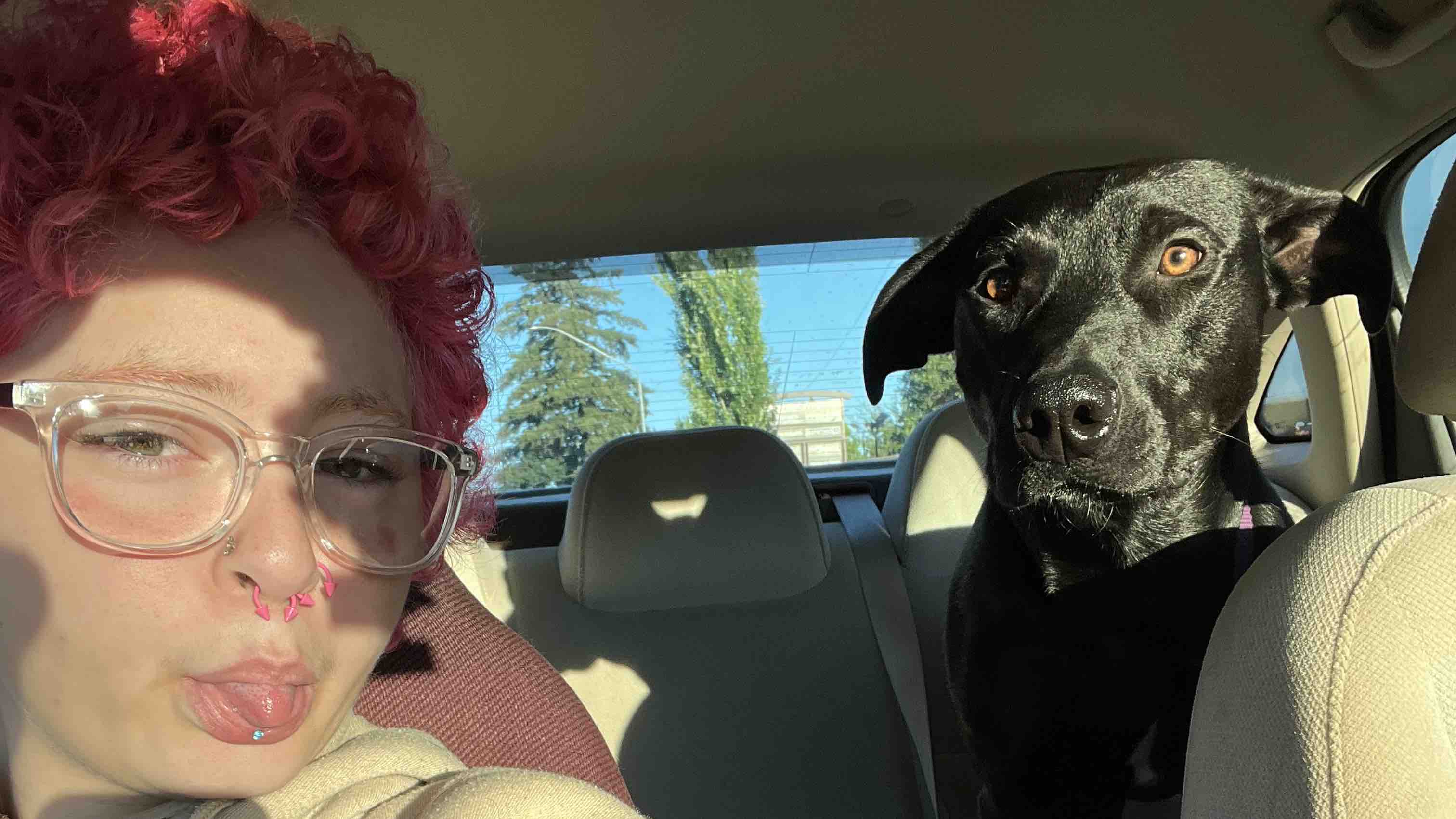 Fundraiser by Marr Paul : Help Marr and Colt from having to be homeless