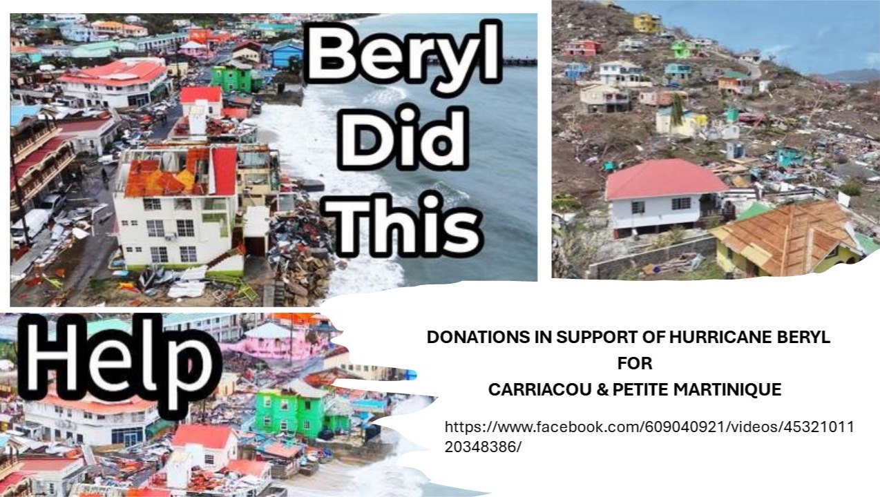 Fundraiser by BERNICE BRISTOLPLENTIE : Support Bernice in Hurricane Beryl Recovery