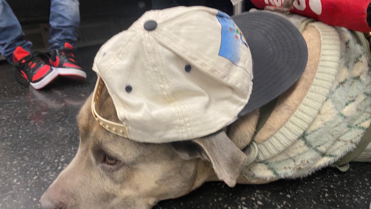 Fundraiser for Jonathan Cedano by Aidan Collins : Help Fix Homelessness