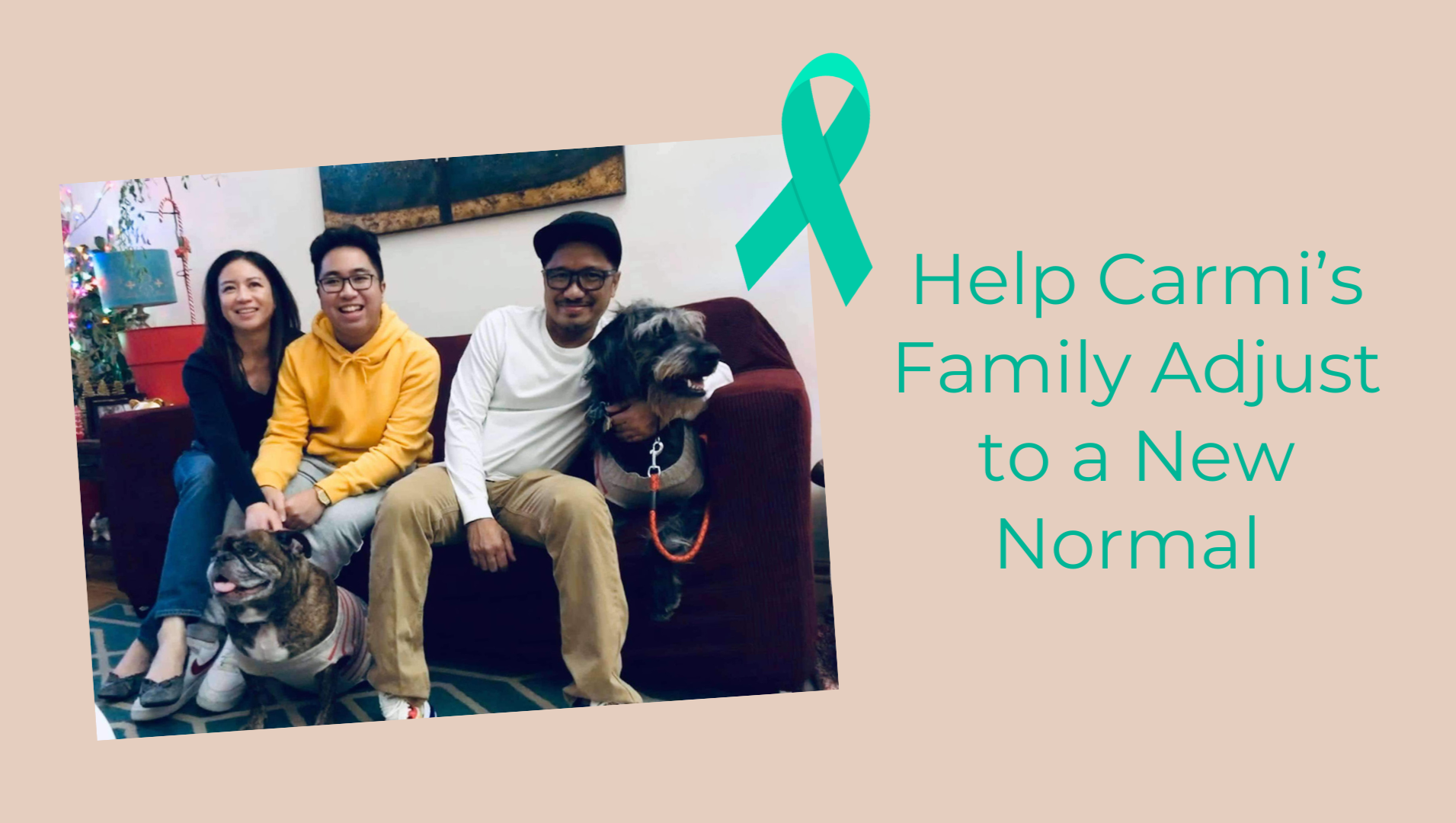 Fundraiser by Austin Castro : Help Carmi's family adjust to a new normal