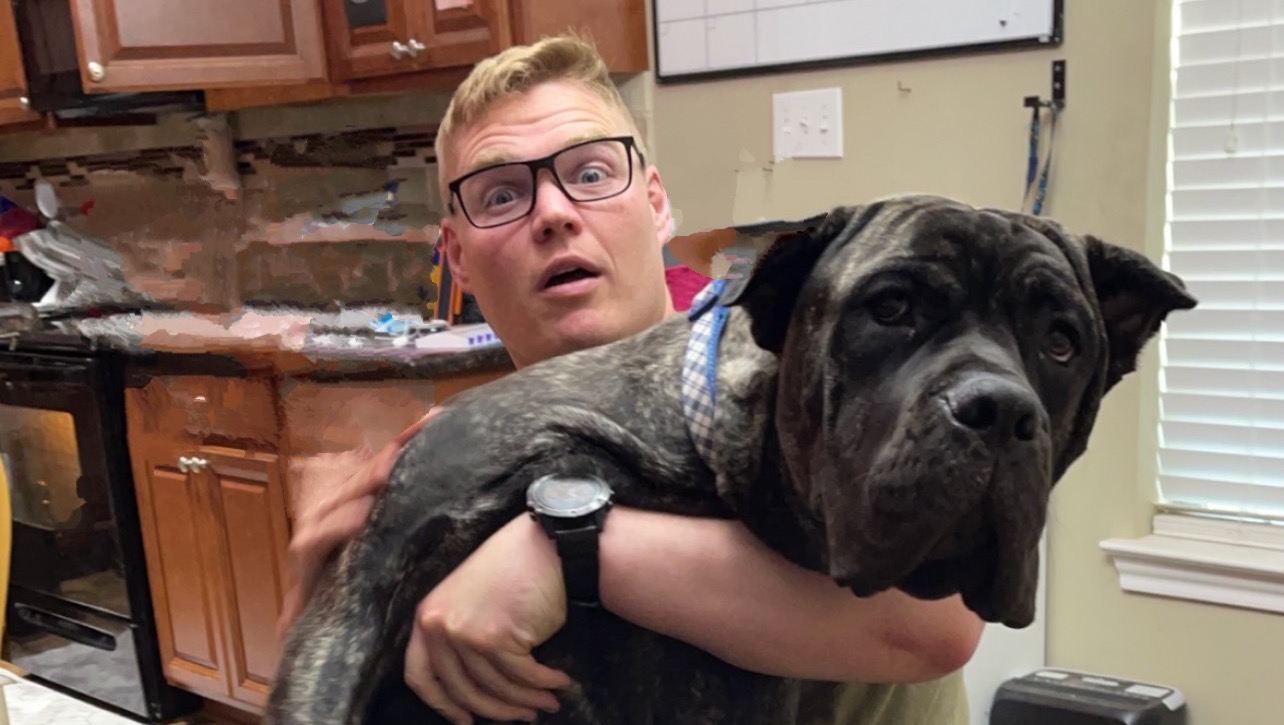 Fundraiser by Samantha Romani : Join Samantha in Saving Brutus' Life