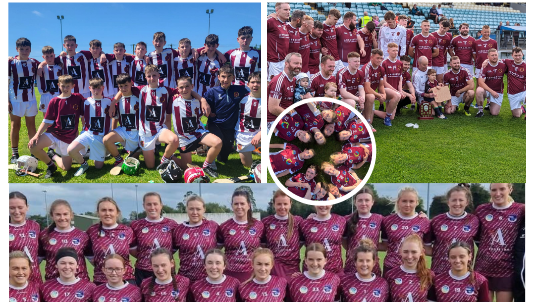 Fundraiser by Naomh Bríd fundraising committee : Naomh Bríd Hurling ...