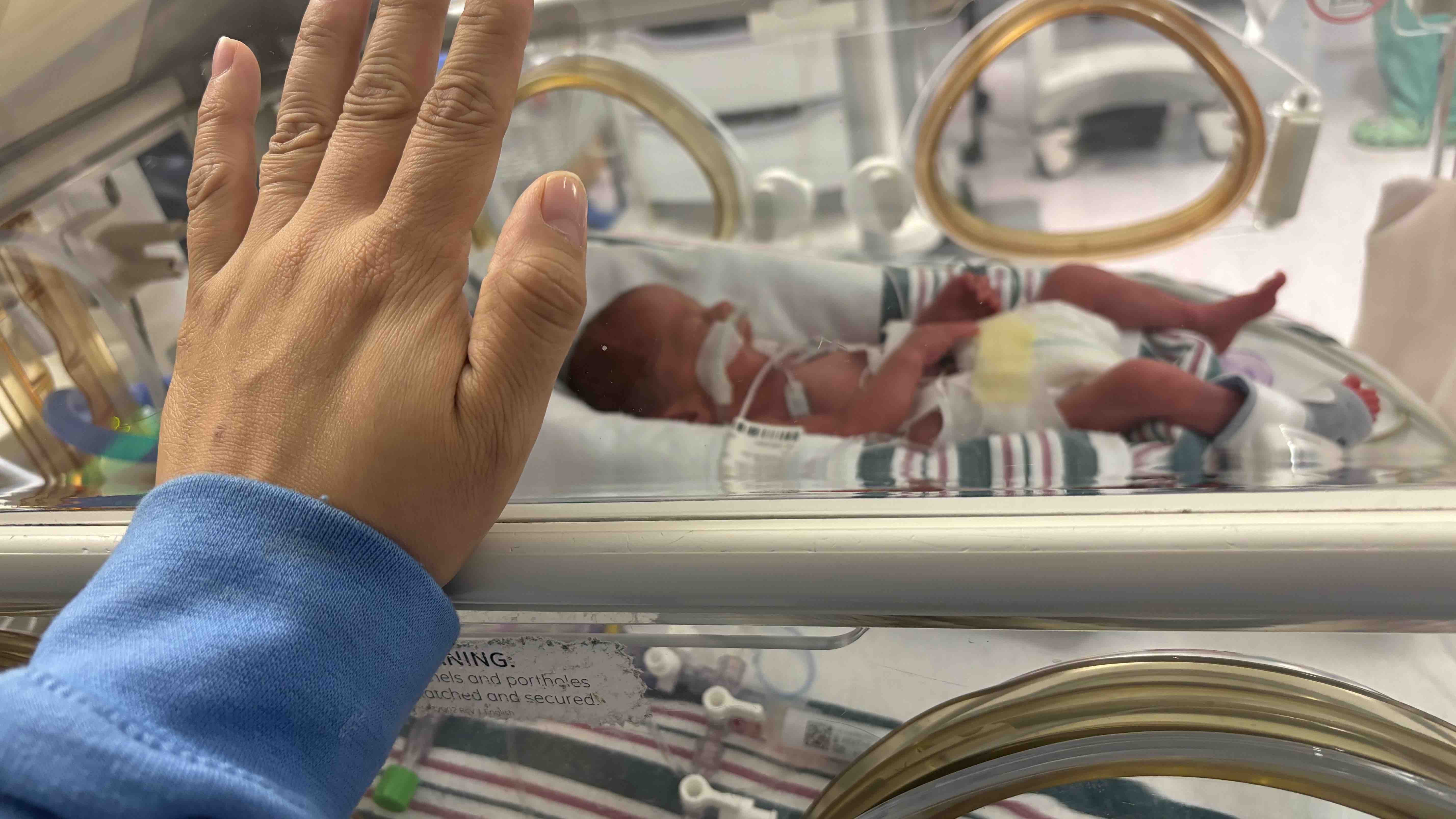 Fundraiser for Liza Bloom by Adael Ramos Reyes : Help the Bloom Family ...