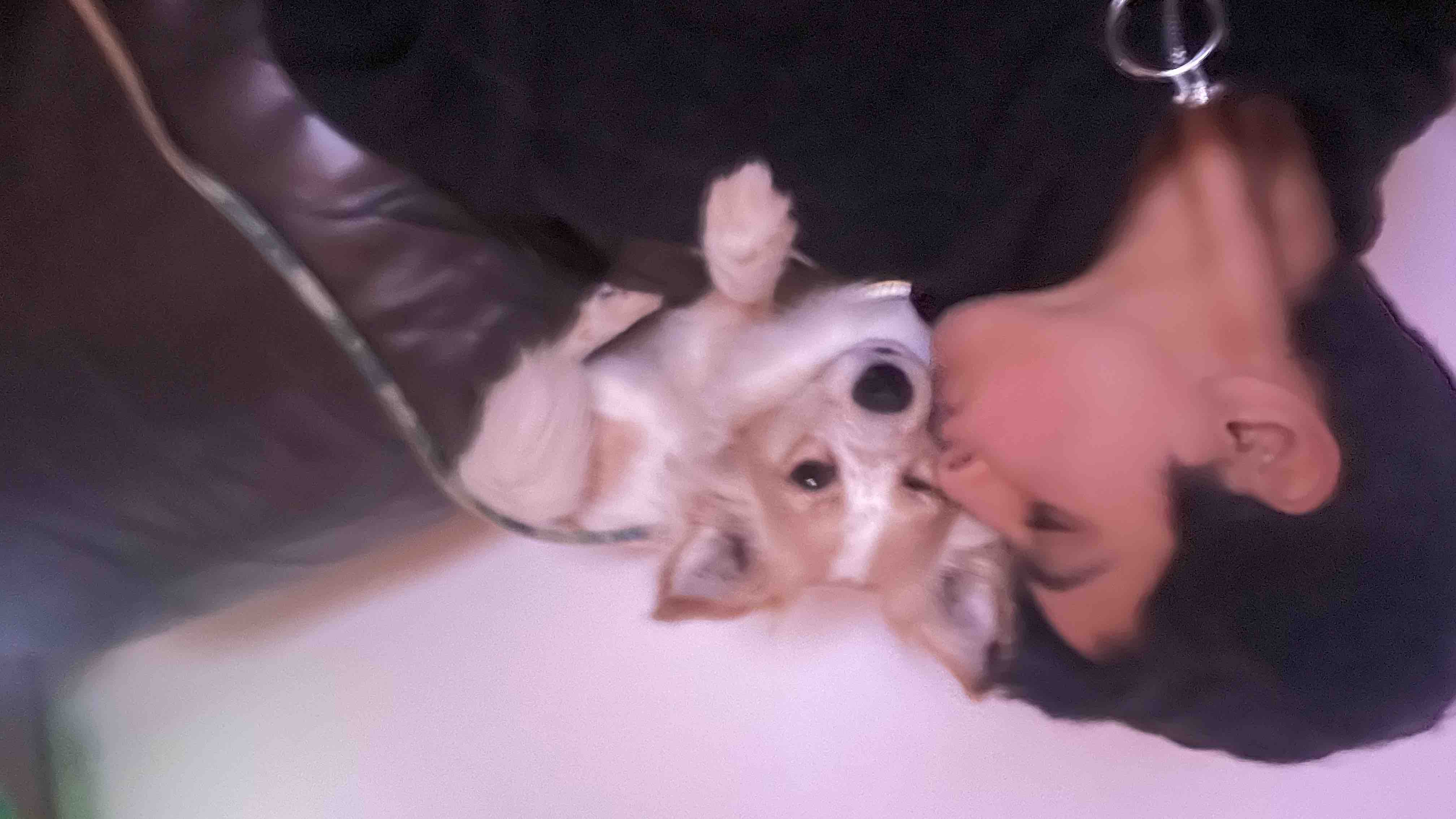 Fundraiser by asmar adam : Help a transgender Palestinian refugee ...