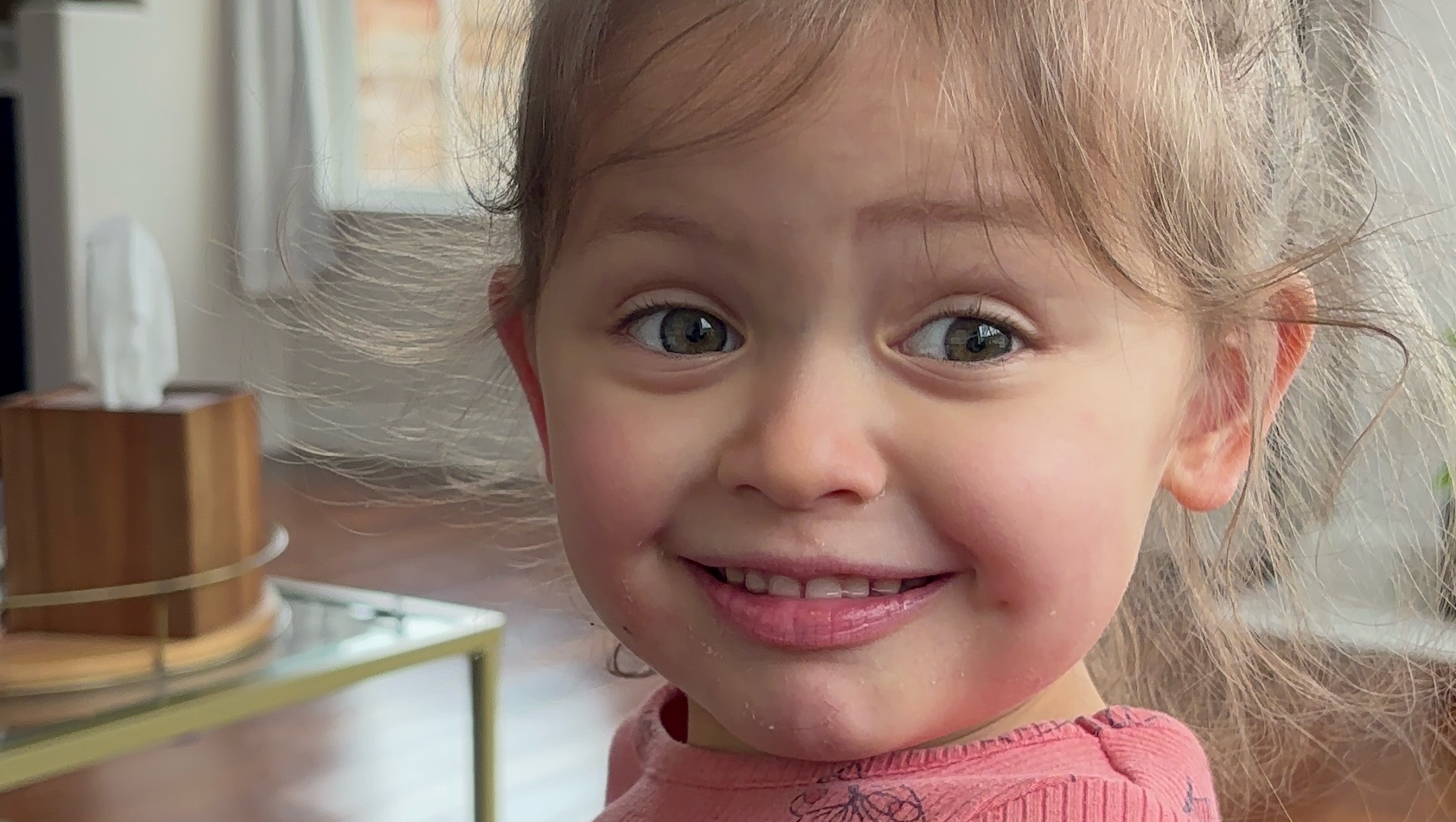 Fundraiser for Alyssa O'Dowd by Adrianne Belza : Help Pressy Shine ...