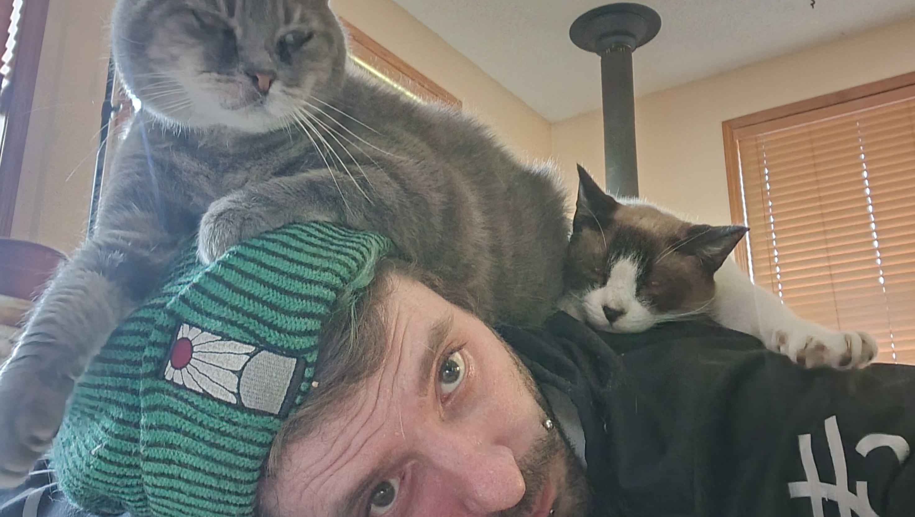 Fundraiser by Mike jakoby : Help Jakoby keep his house and cats