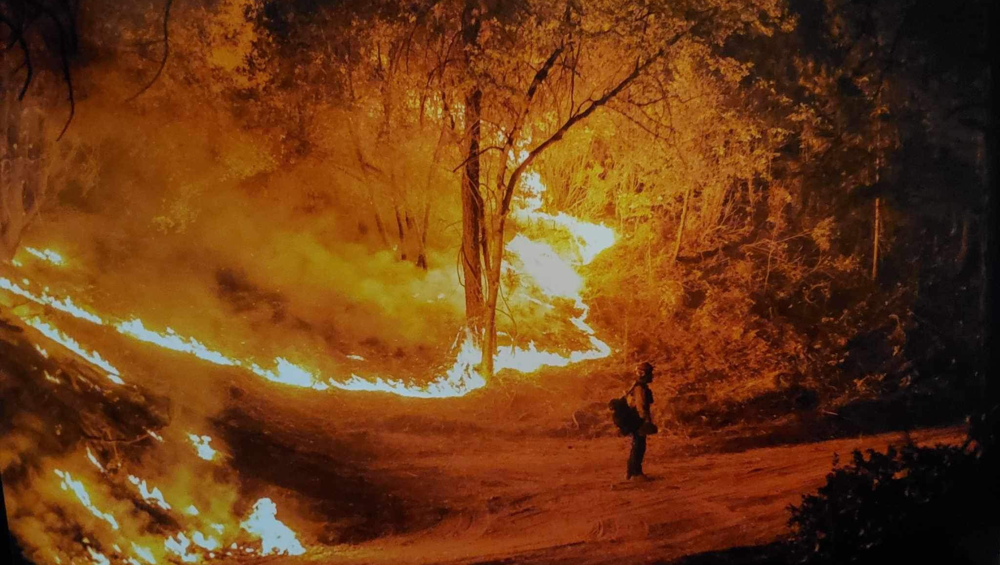 Fundraiser for Sara MacPhee MacPhee by Diandra Treadway : Supporting ...