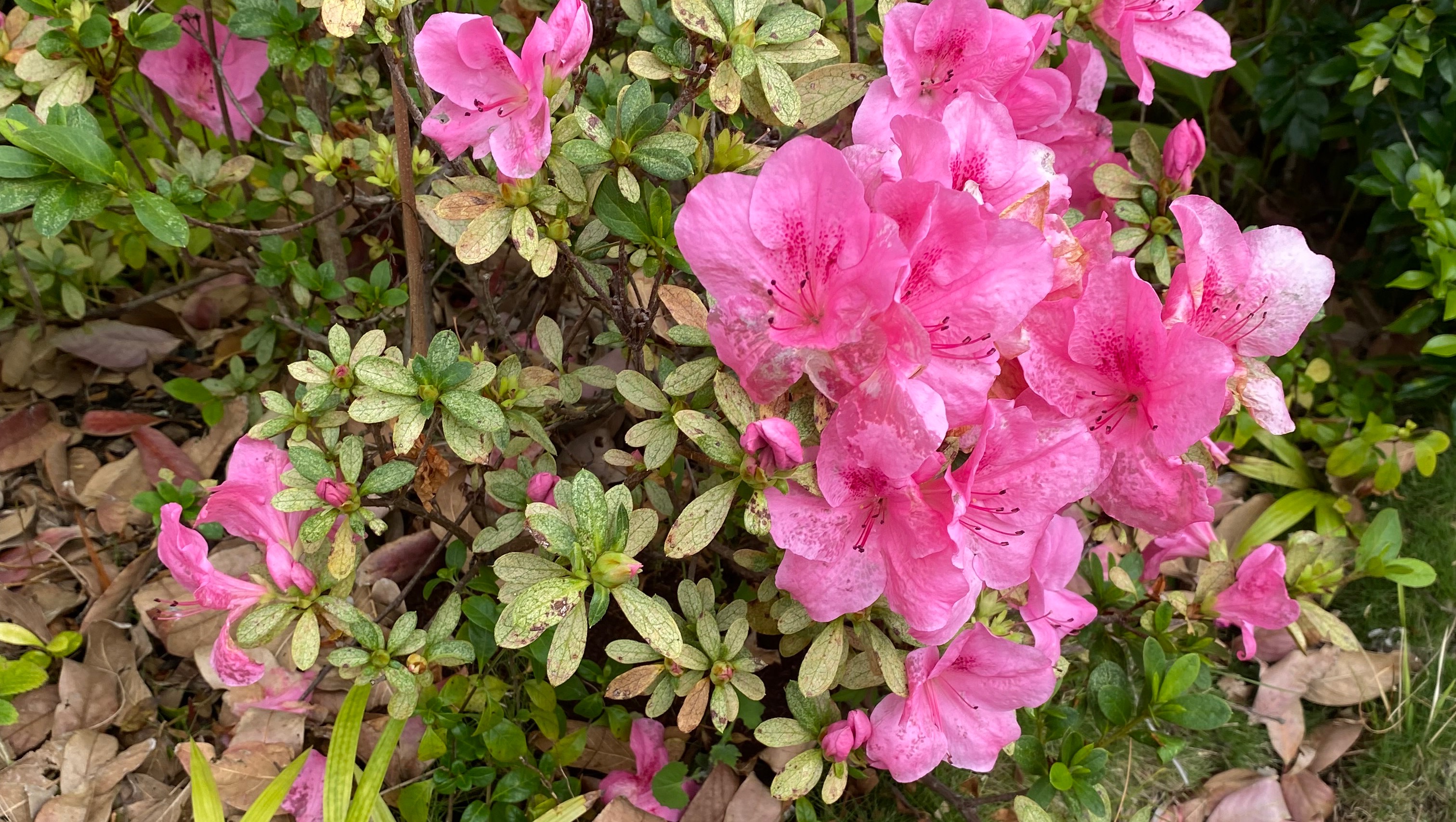 Fundraiser by asher w : help a trans guy move out!!