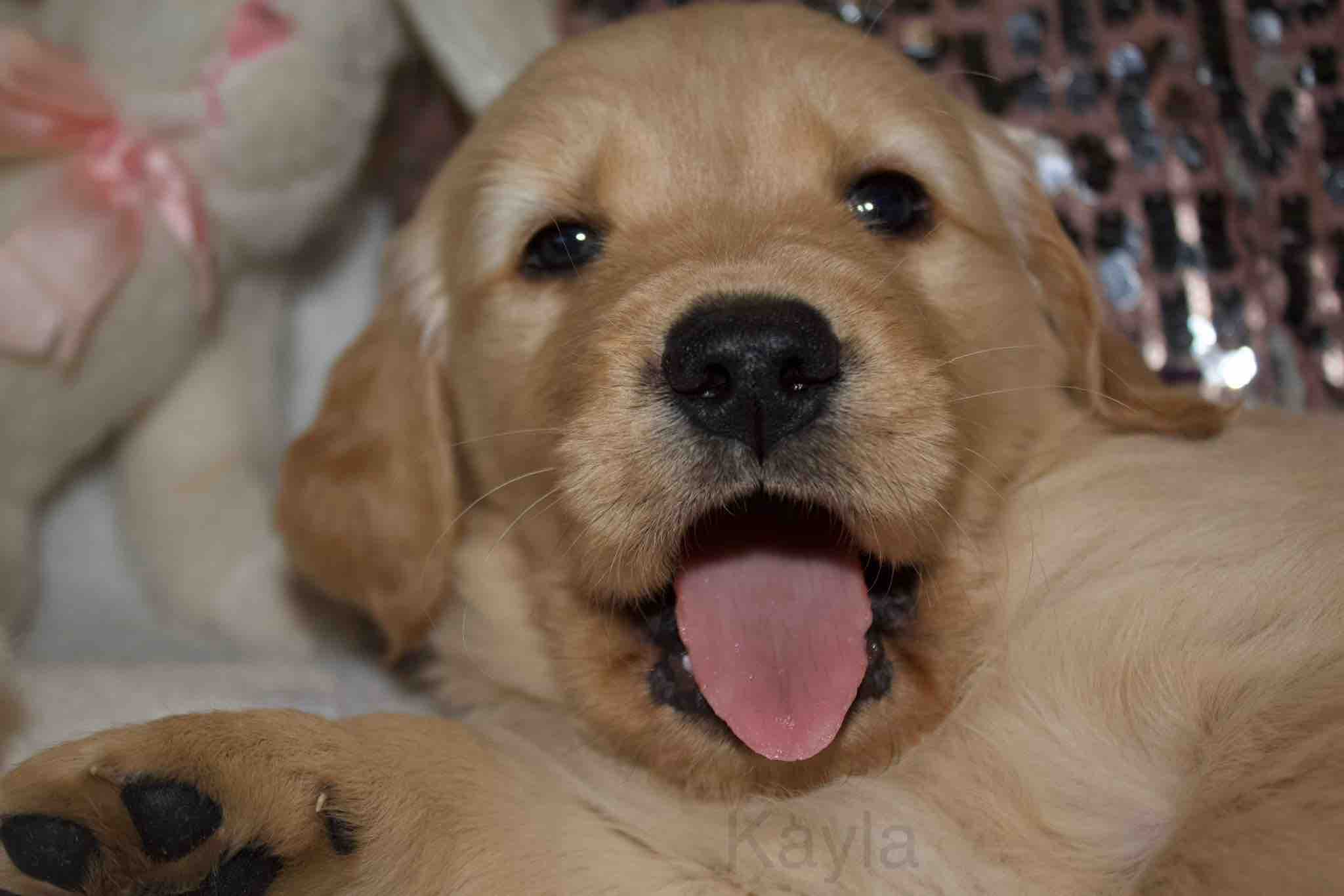 Fundraiser by Loana Morillo : Help Kayla Overcome Her Rare Condition ...