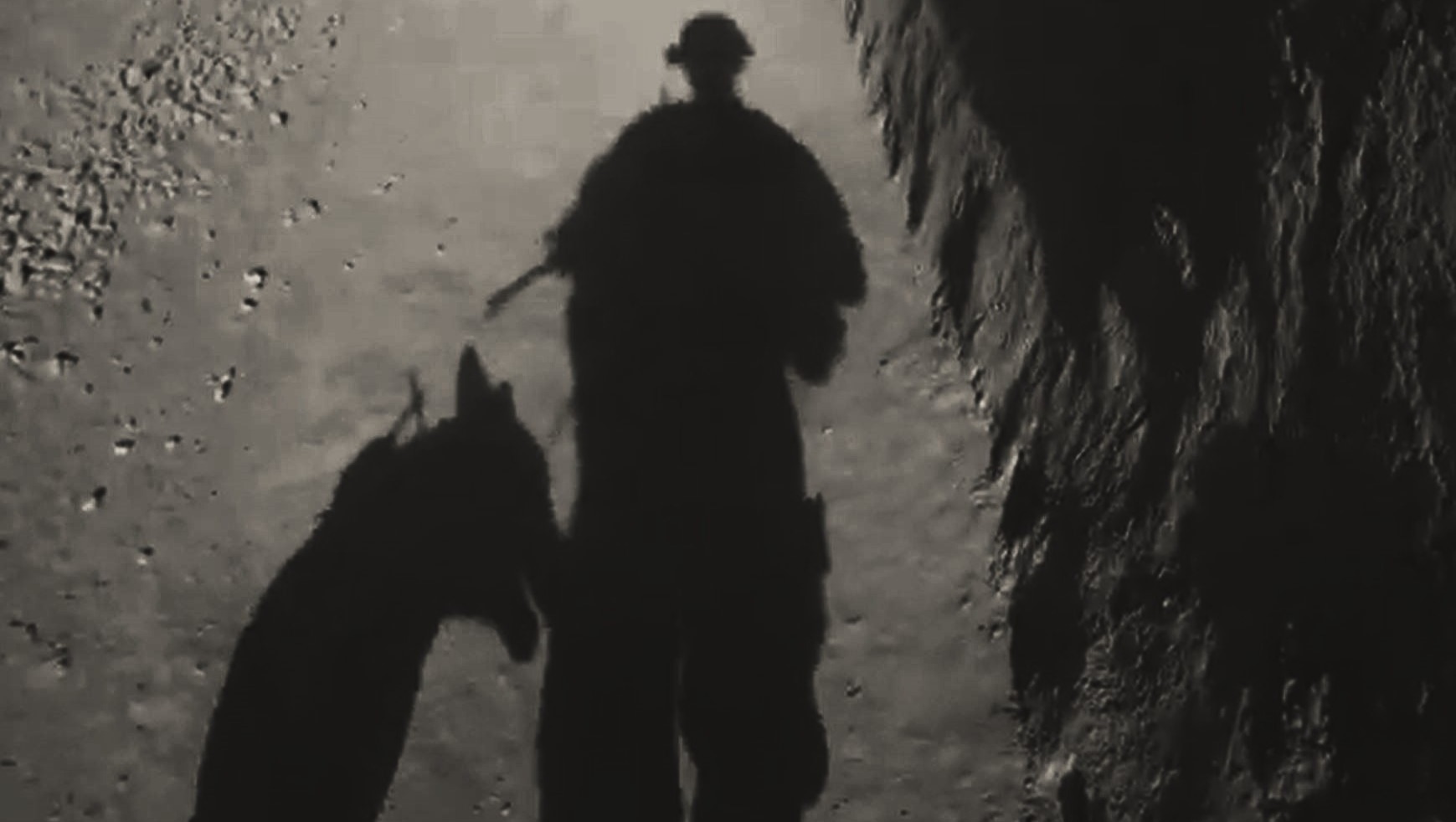 Fundraiser by Timothy Culver : Support a Working Dog Veteran's Fight ...