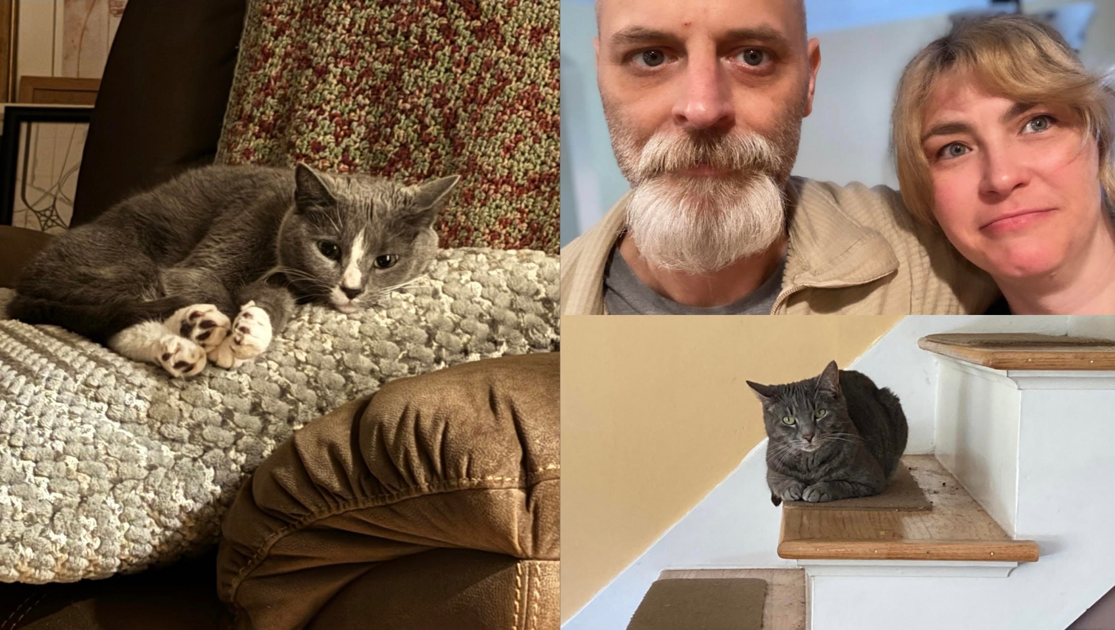 Fundraiser for Nicole Mathews by Emma Moore : Help Support The Mathews ...