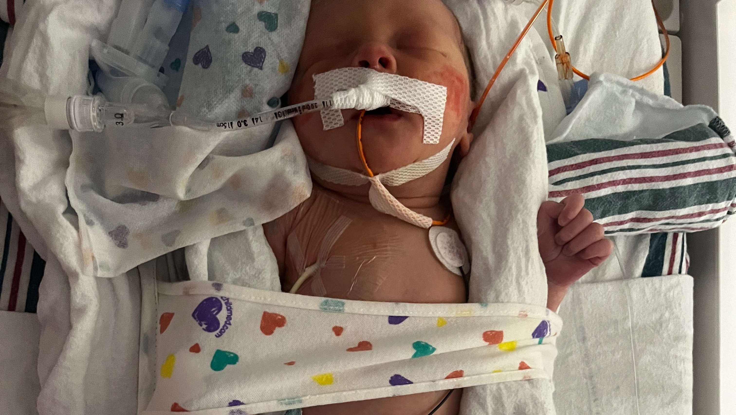 Fundraiser by Ashley Moen : Support Anastasia's NICU Journey