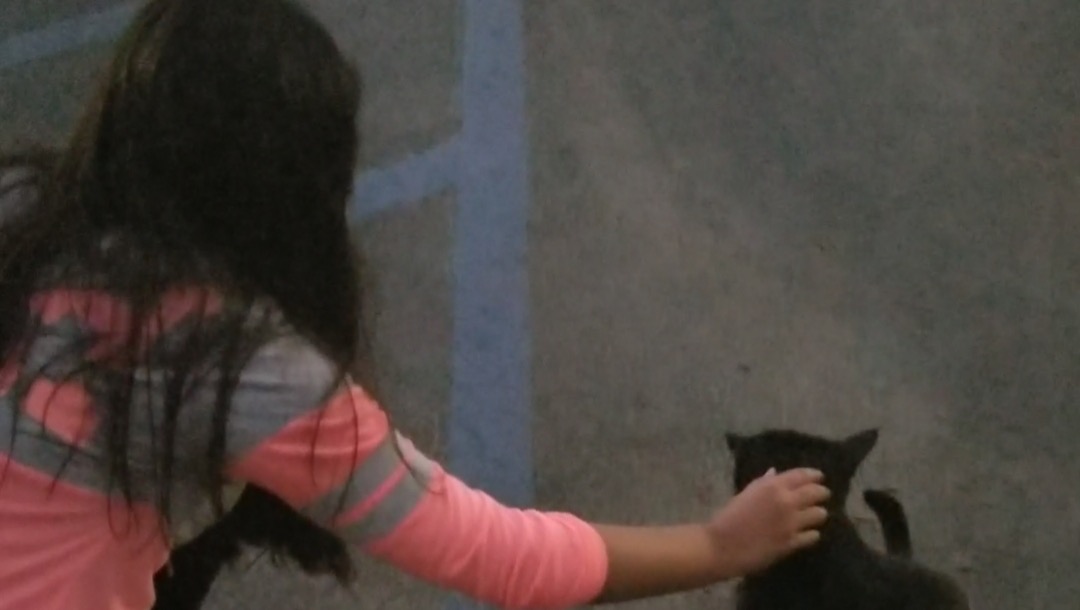 Fundraiser by Alexa Escobar : Need a new house it was taken from me ...