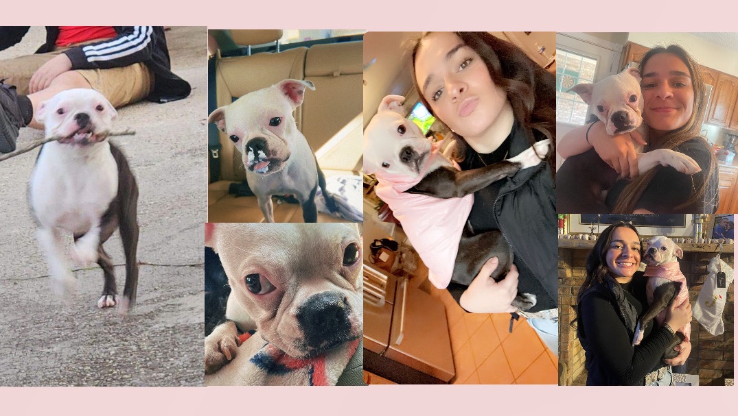 Fundraiser by Jayden Estilette : Help Chanel Bailey Walk Again