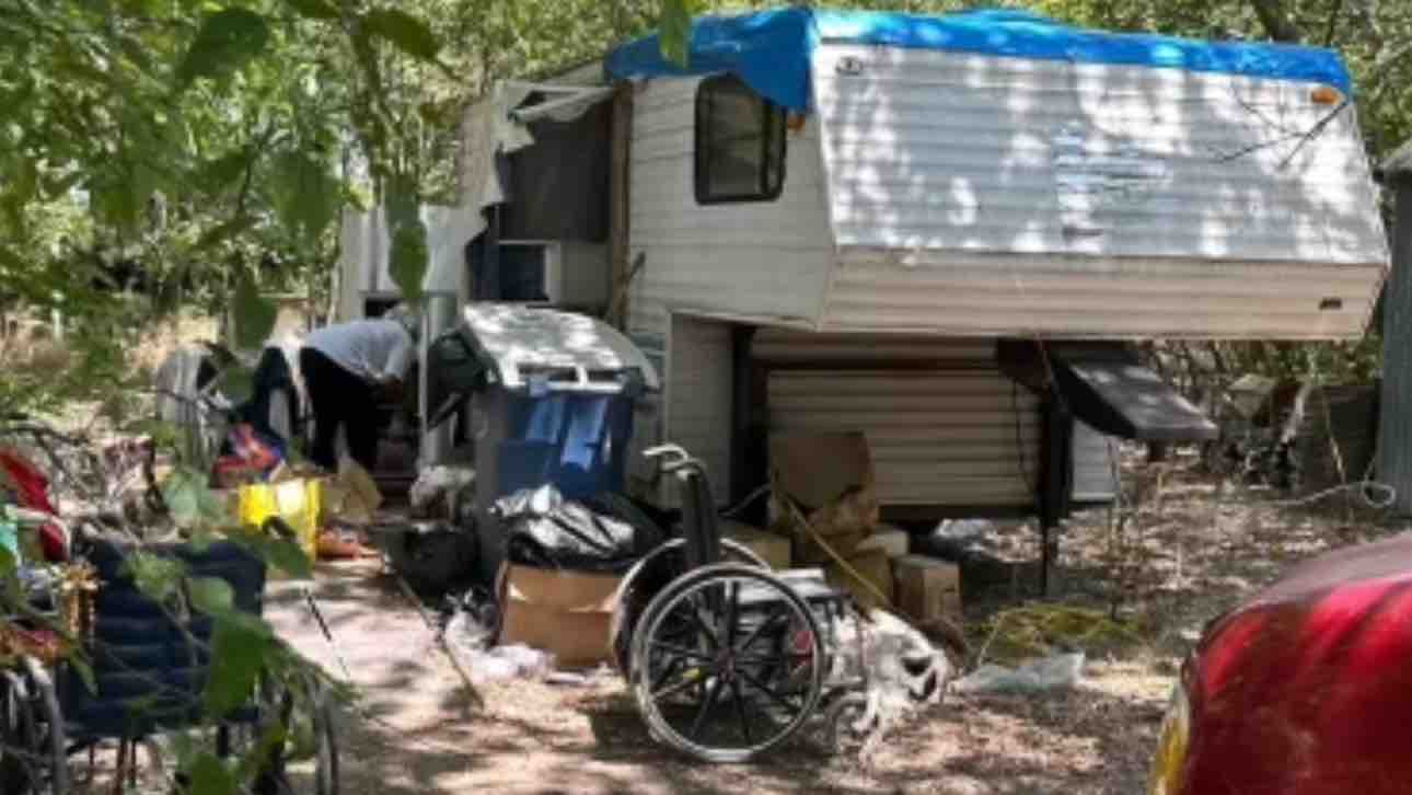 Fundraiser by Sharon Perez : Help us get Ellery a fridge and necessities