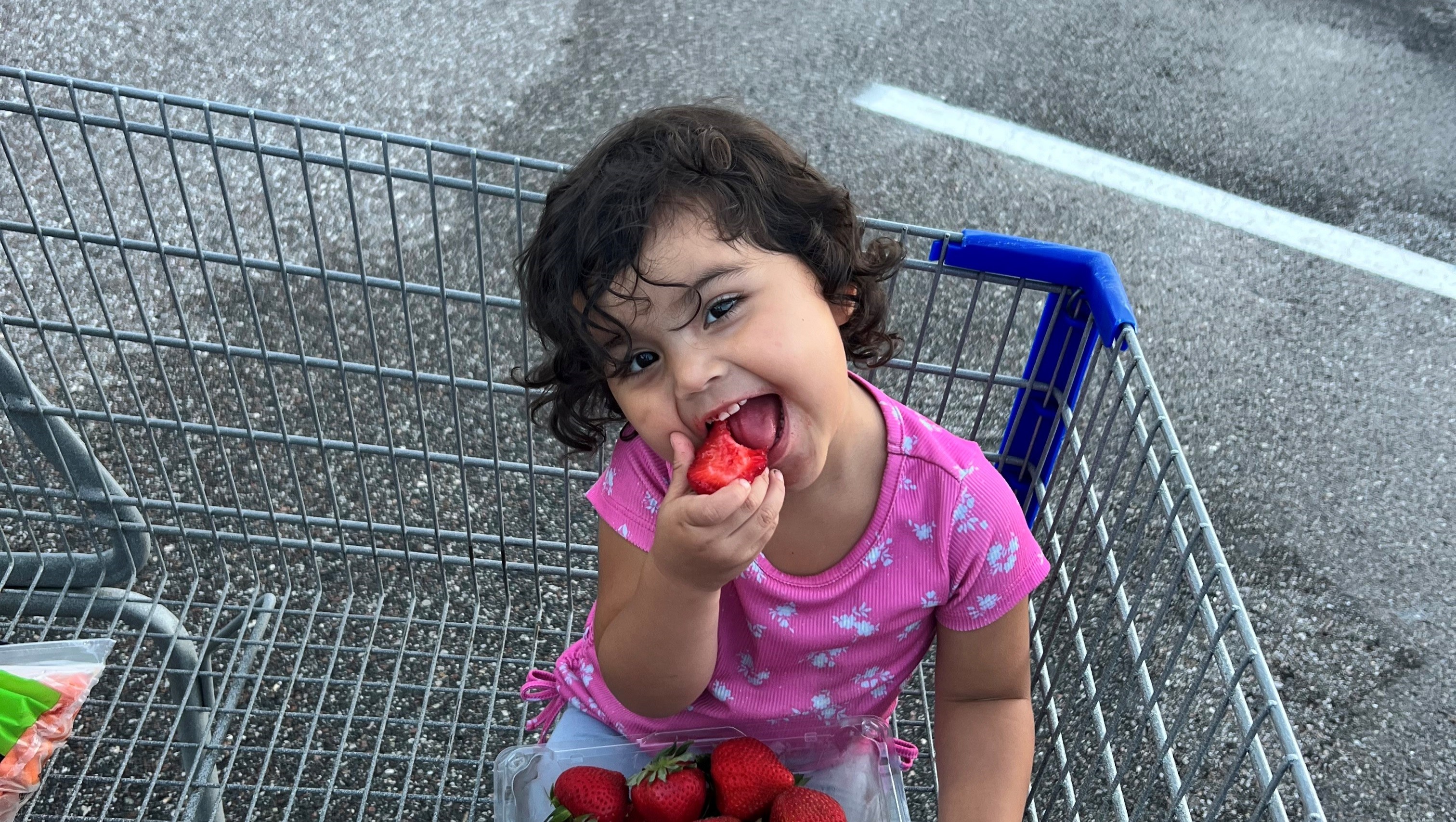 Fundraiser by Trenton Oswald : Help Our Little Catalina Smile Again ...