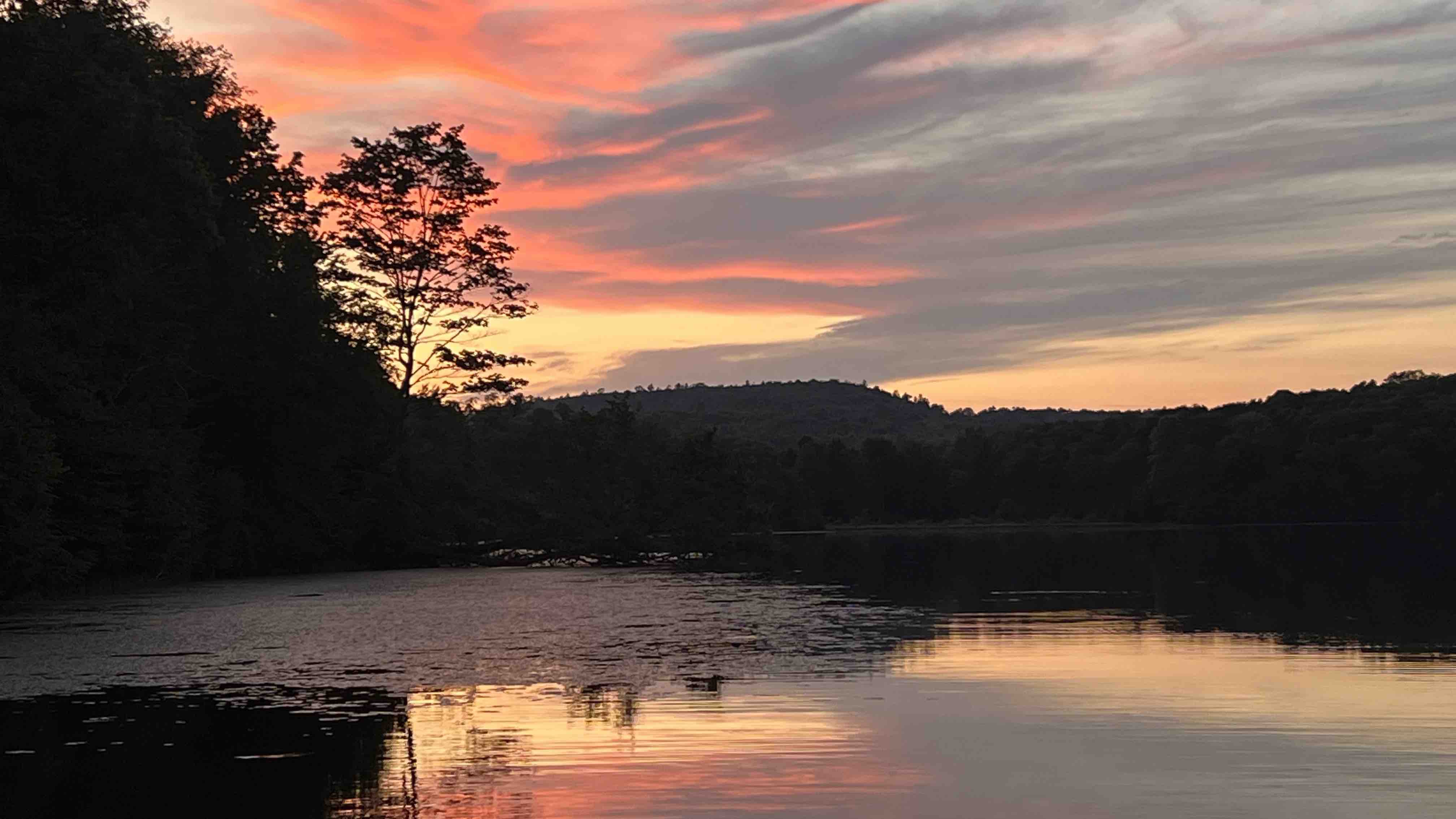 Fundraiser by Jennifer Phillips : Help The Phillips Family